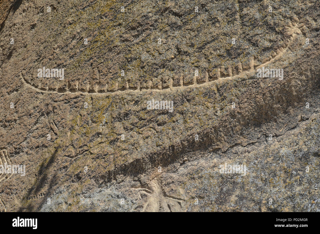 Ancient petroglyphs in Gobustan (Qobustan), Azerbaijan Stock Photo - Alamy