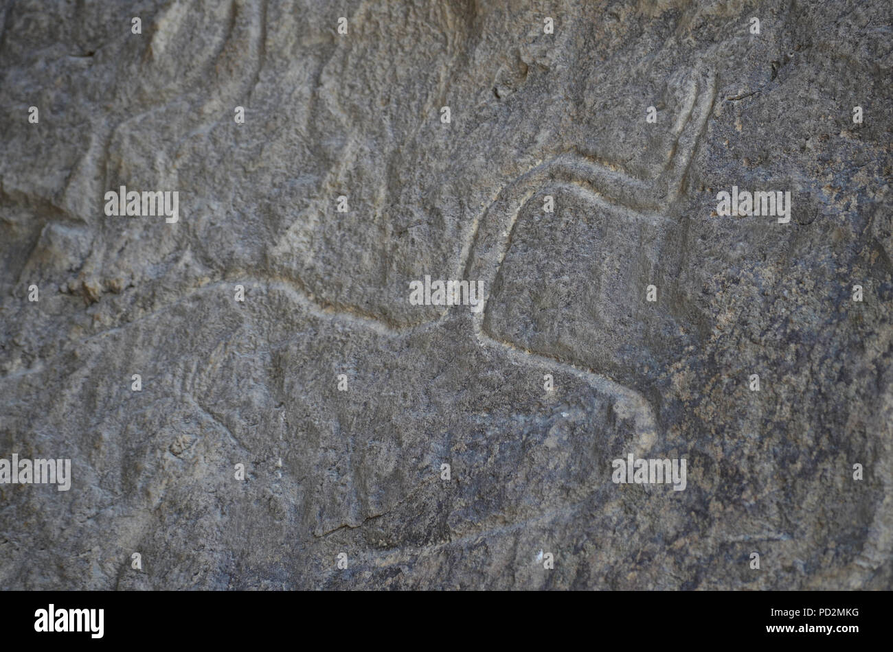Ancient petroglyphs in Gobustan (Qobustan), Azerbaijan Stock Photo - Alamy