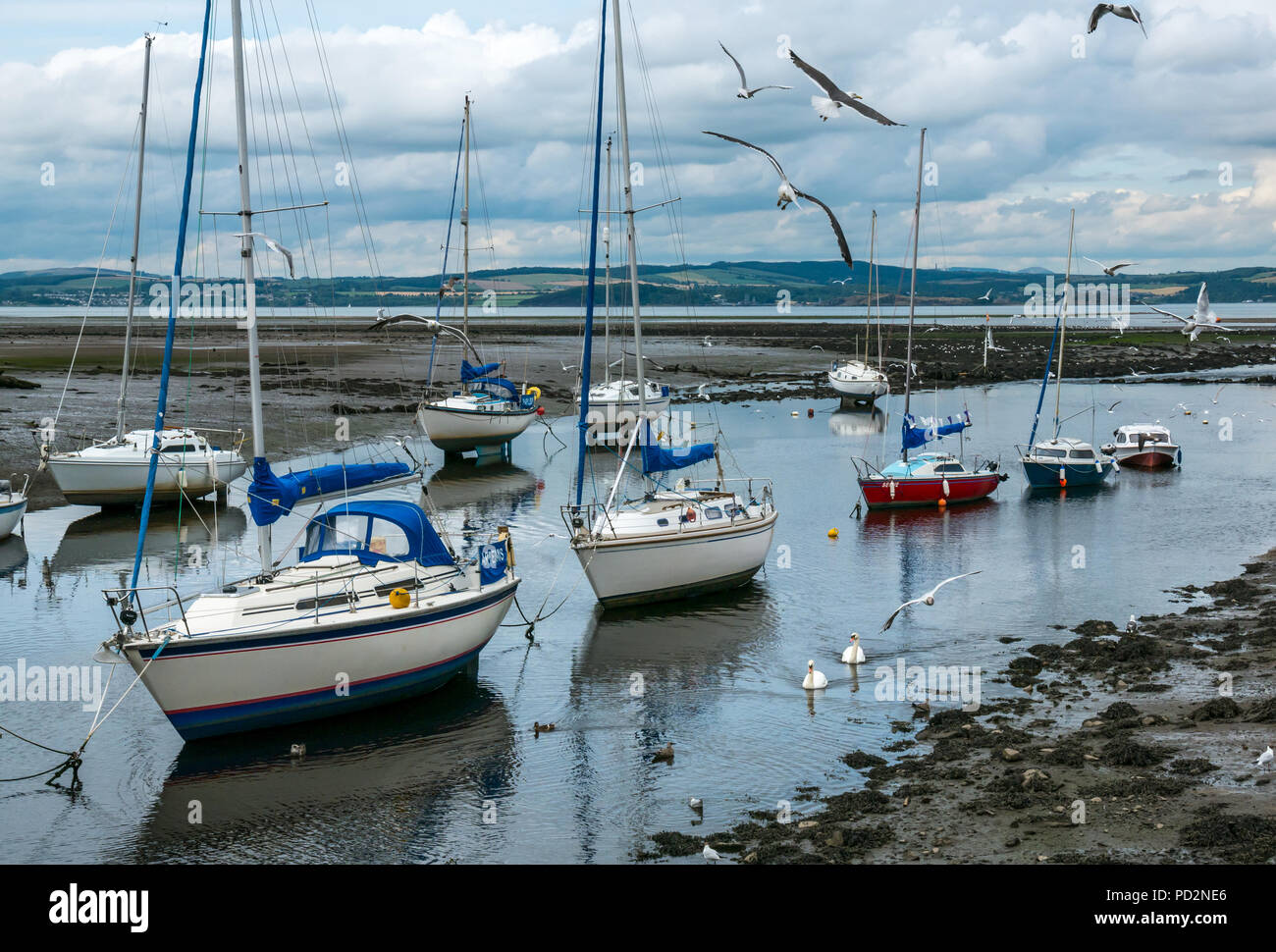 River almond hi-res stock photography and images - Alamy