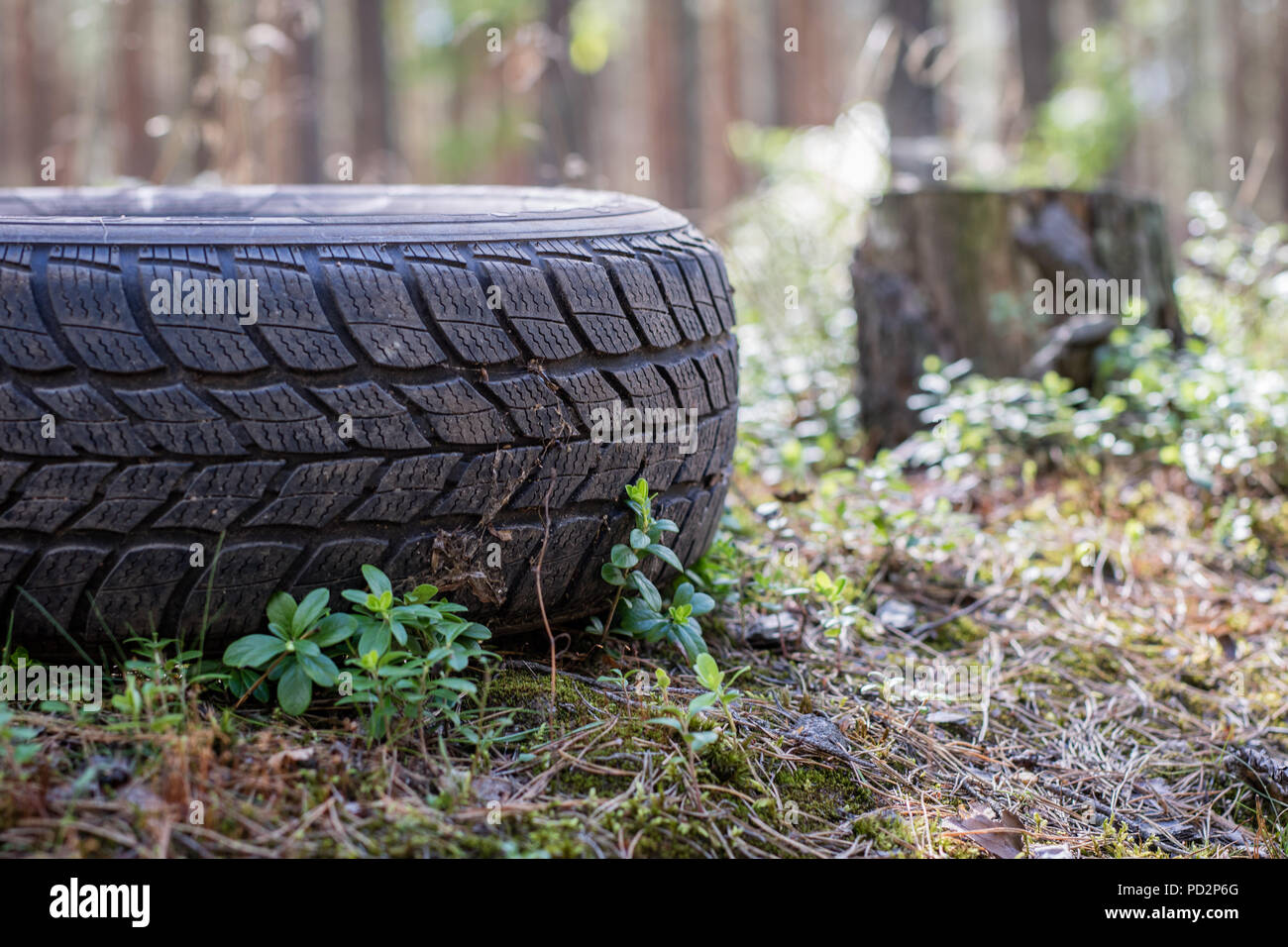 Old tractor tyre in wood hi-res stock photography and images - Alamy
