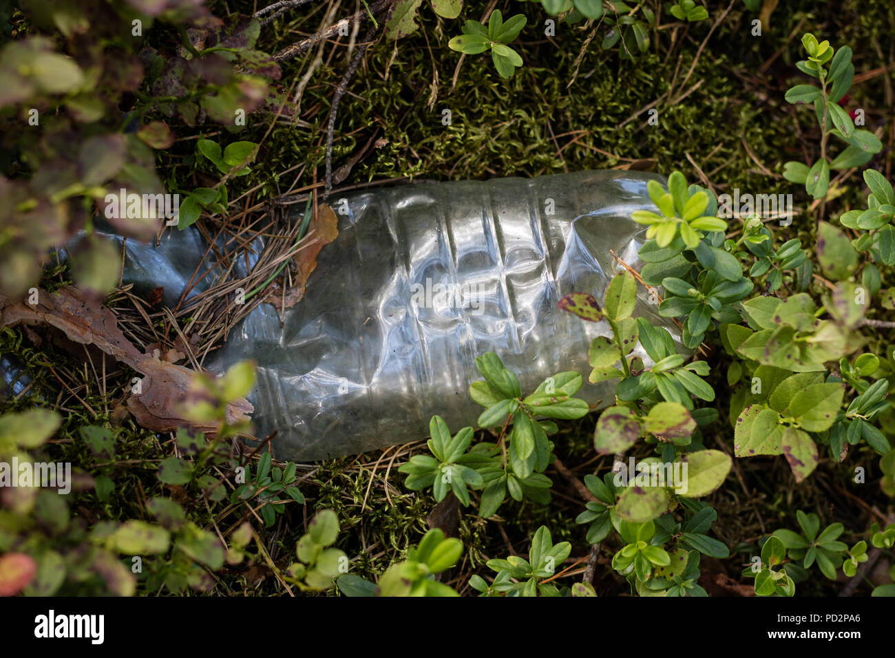Plastic garbage left in the forest. Littered with the natural ...