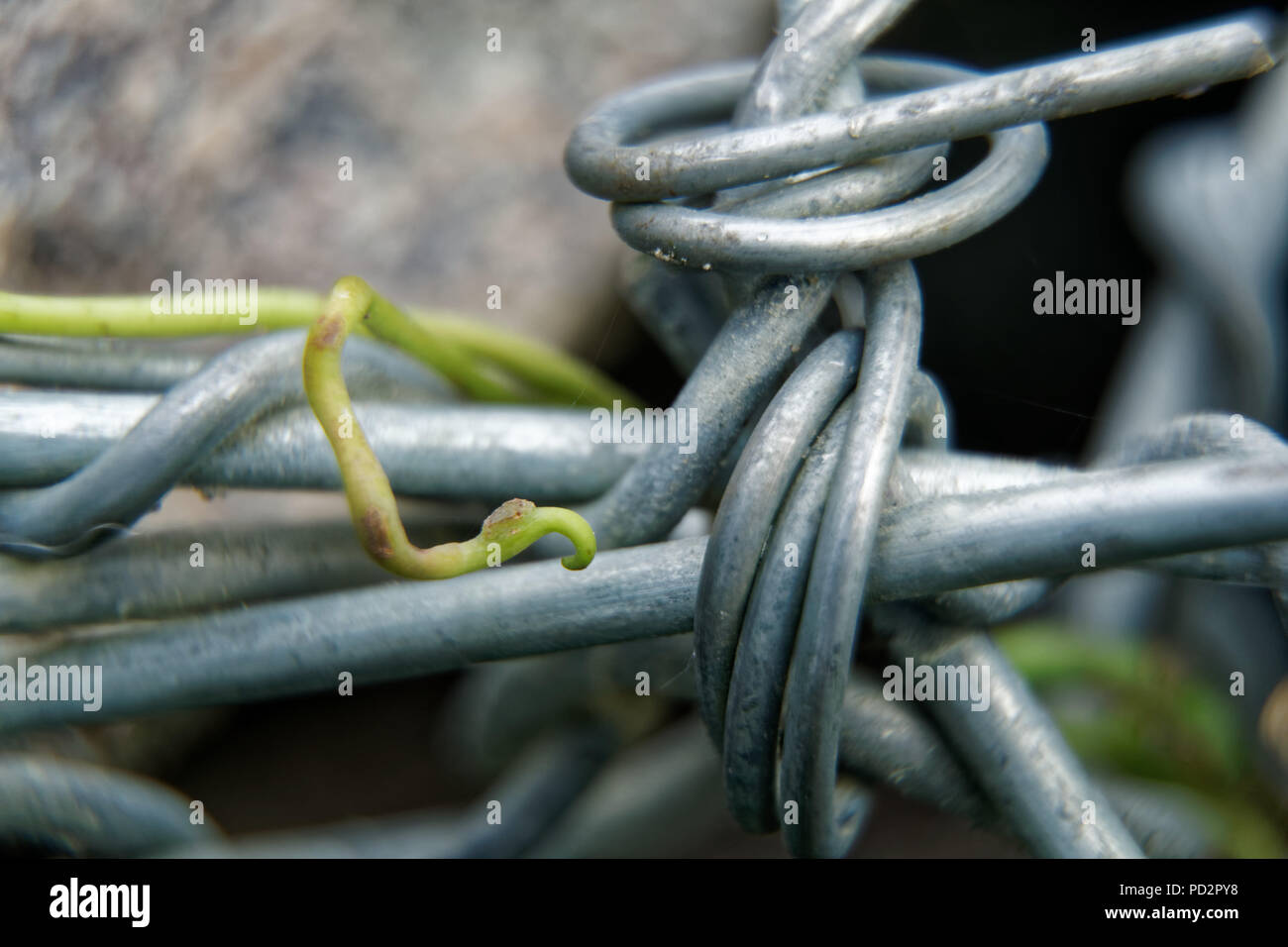 Aluminum wire twisted on stone object, macro background Stock Photo - Alamy