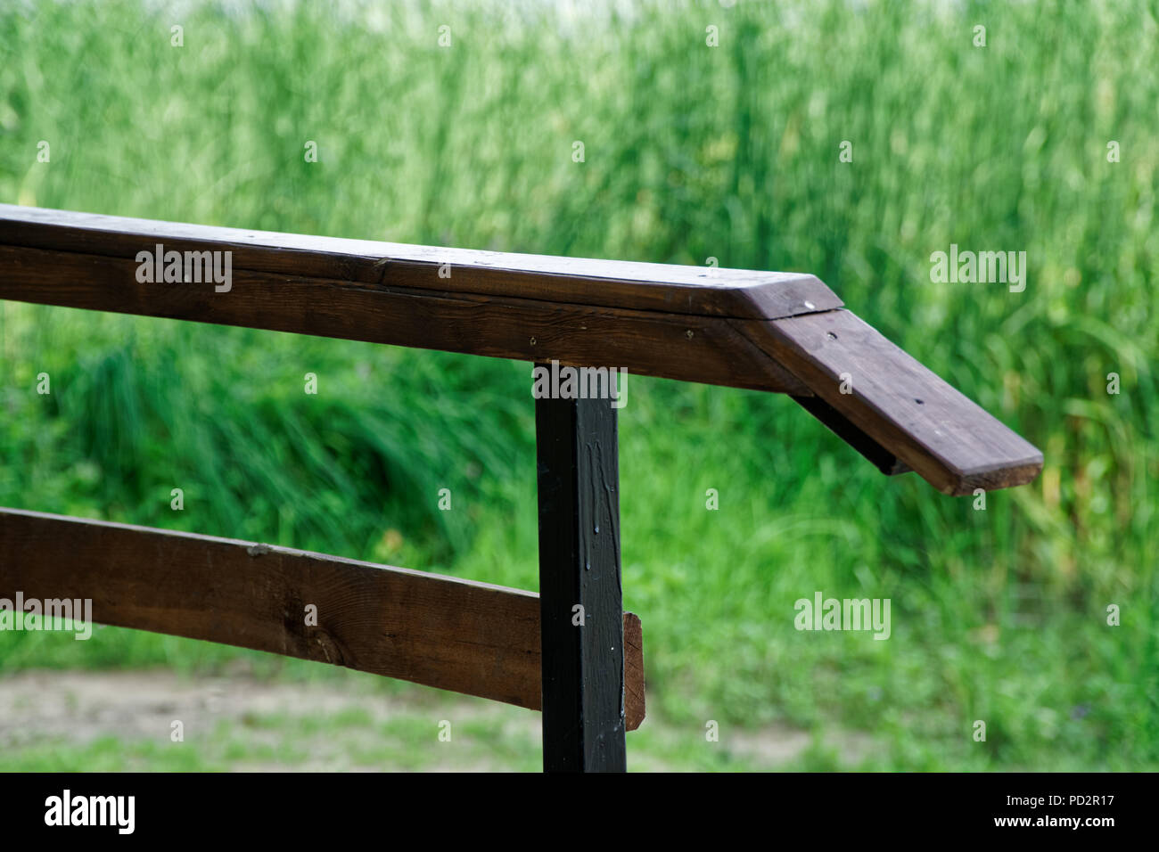 Wooden handrail in Public park with lawn bench and green tree, place ...