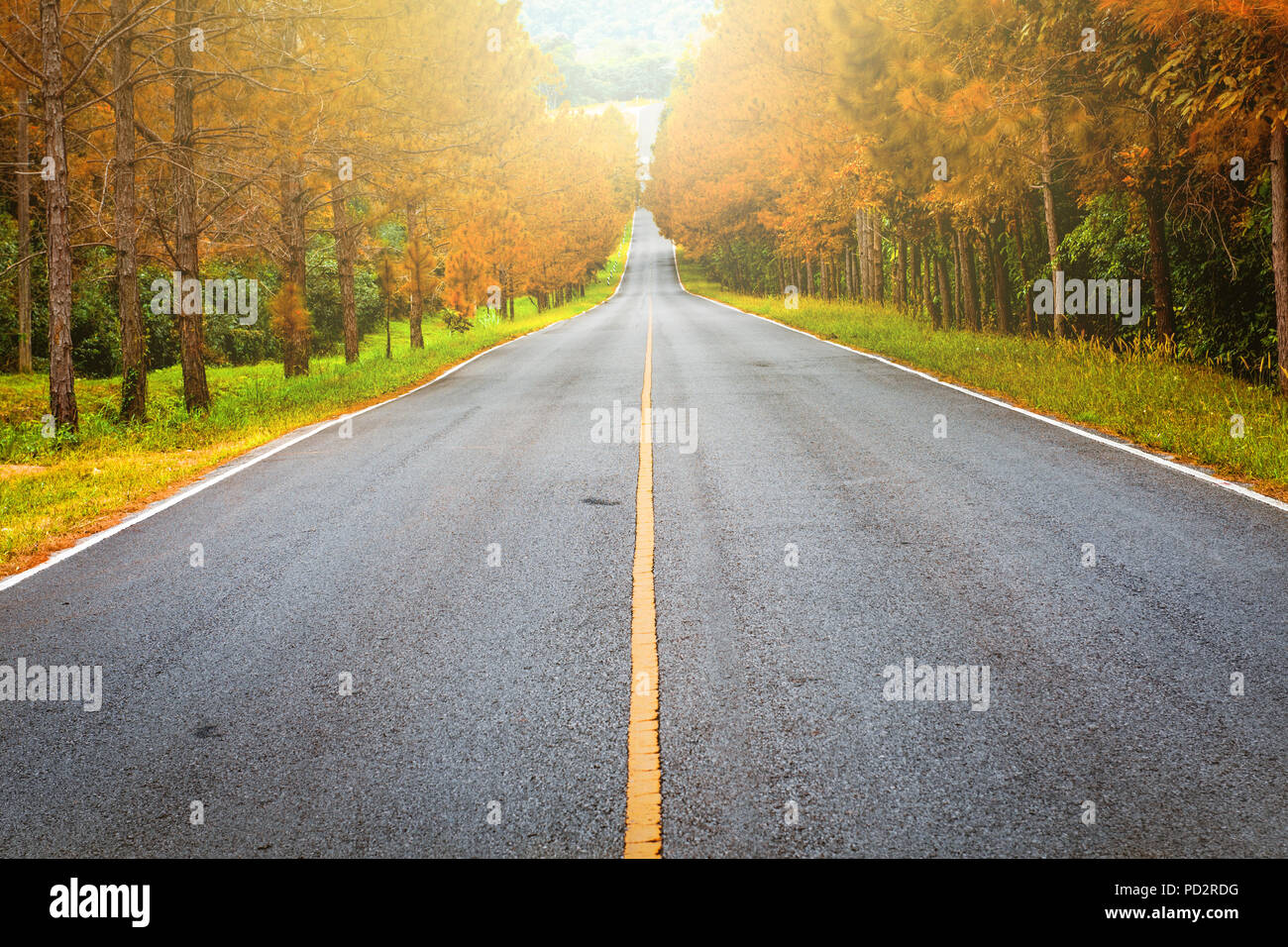 road passthrough autumn forest Stock Photo - Alamy