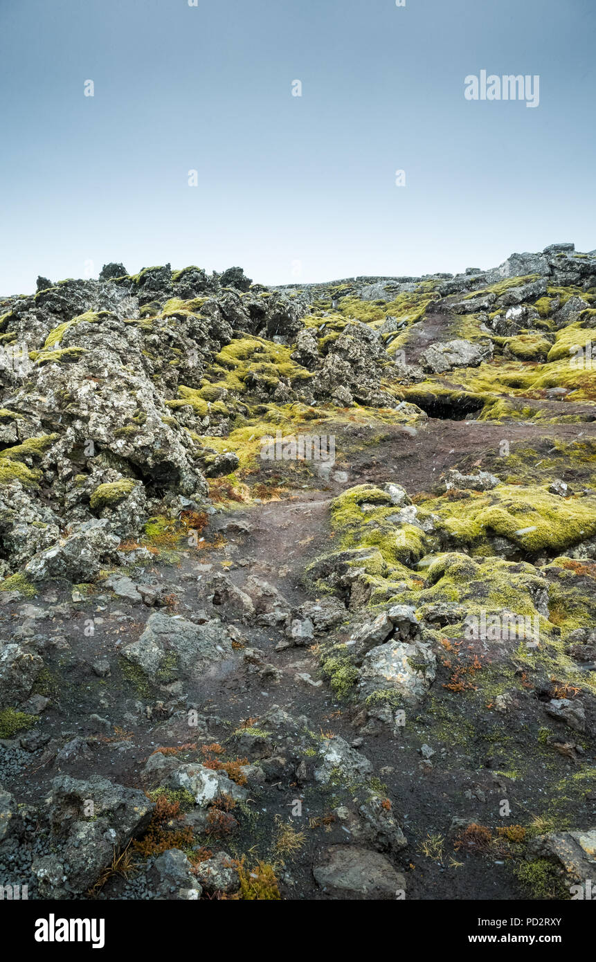 Iceland, empty vertical landscape with green moss on dark wet rocks ...