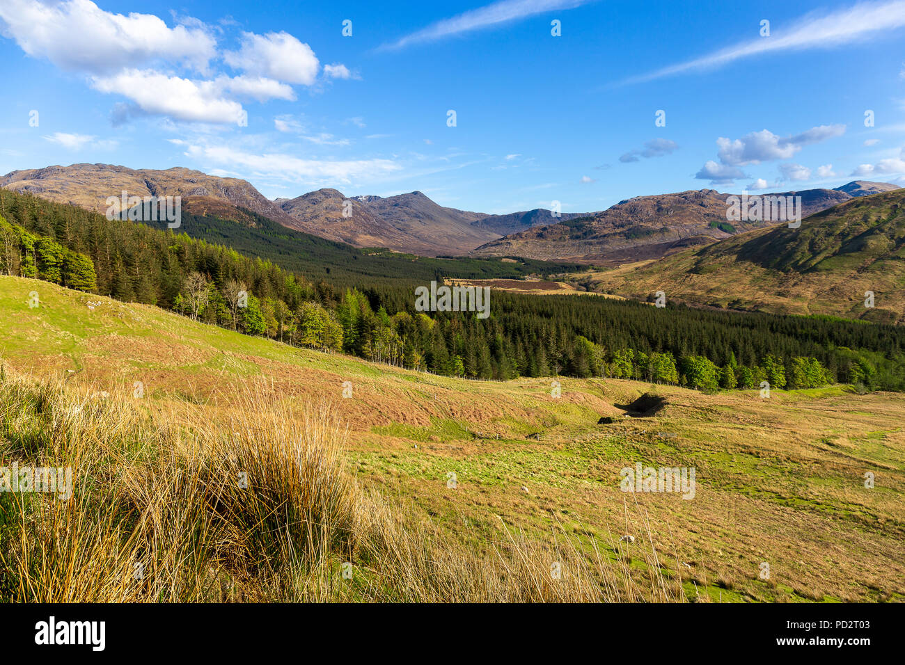 Highland landscape near Ratagan and Glenelg Stock Photo - Alamy