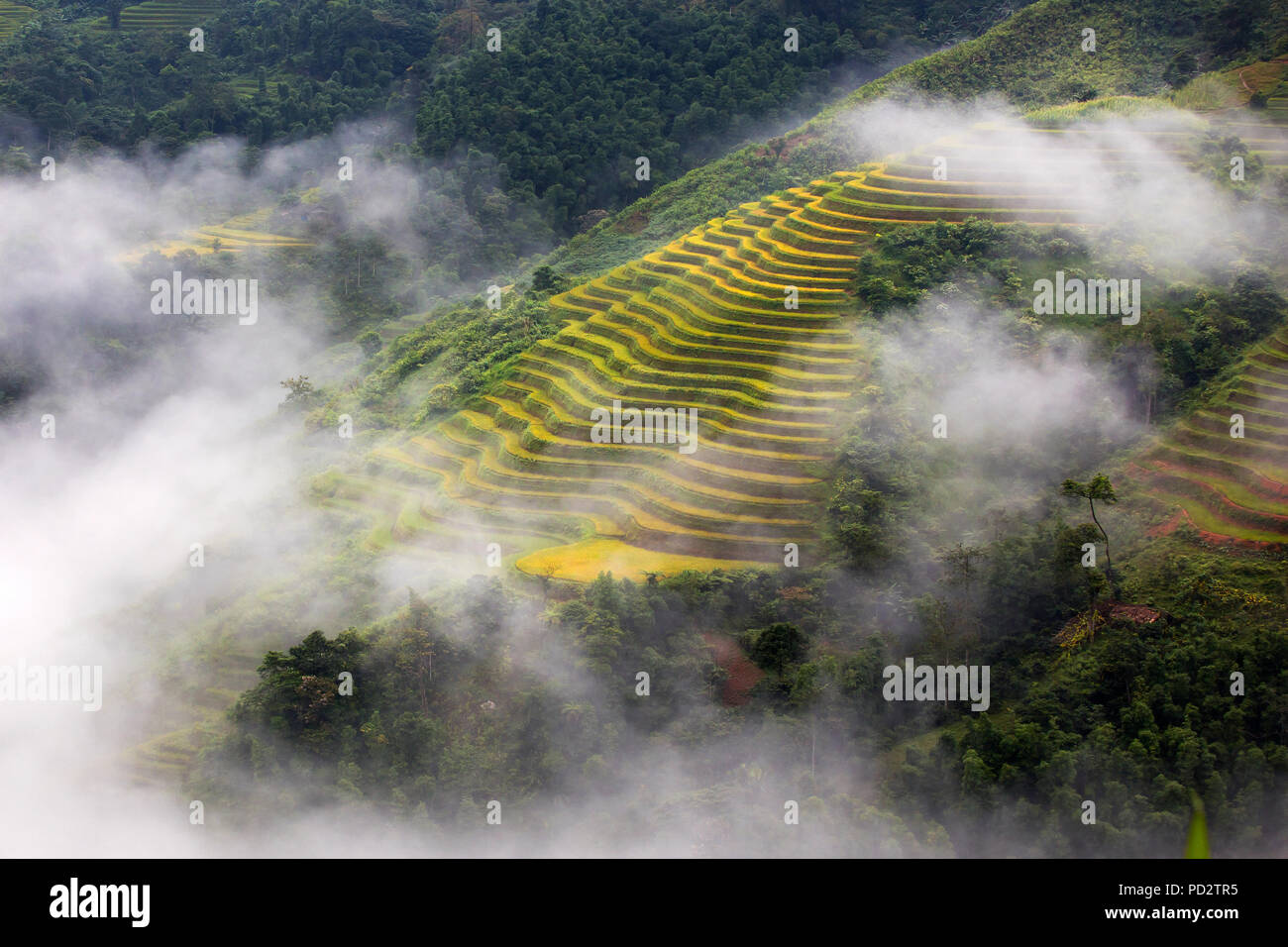 Viietnam landscape hi-res stock photography and images - Alamy