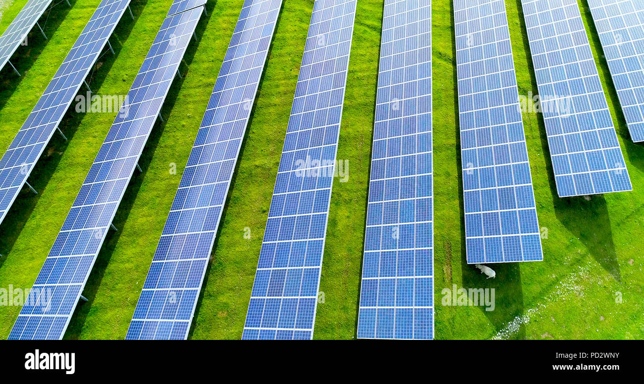 Solar panels in aerial view Stock Photo - Alamy
