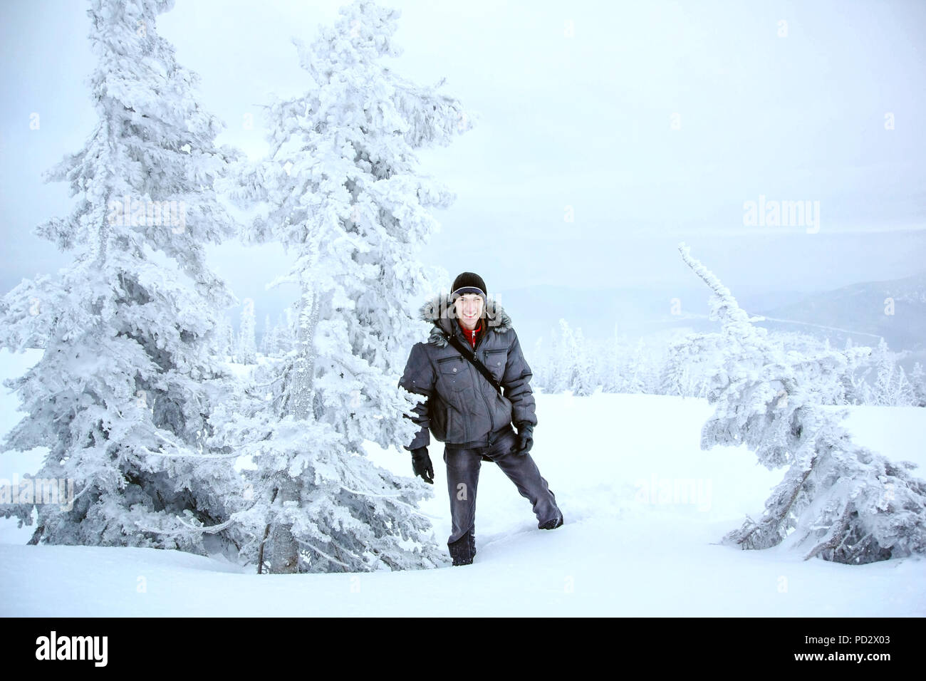 Shoriya hi-res stock photography and images - Alamy