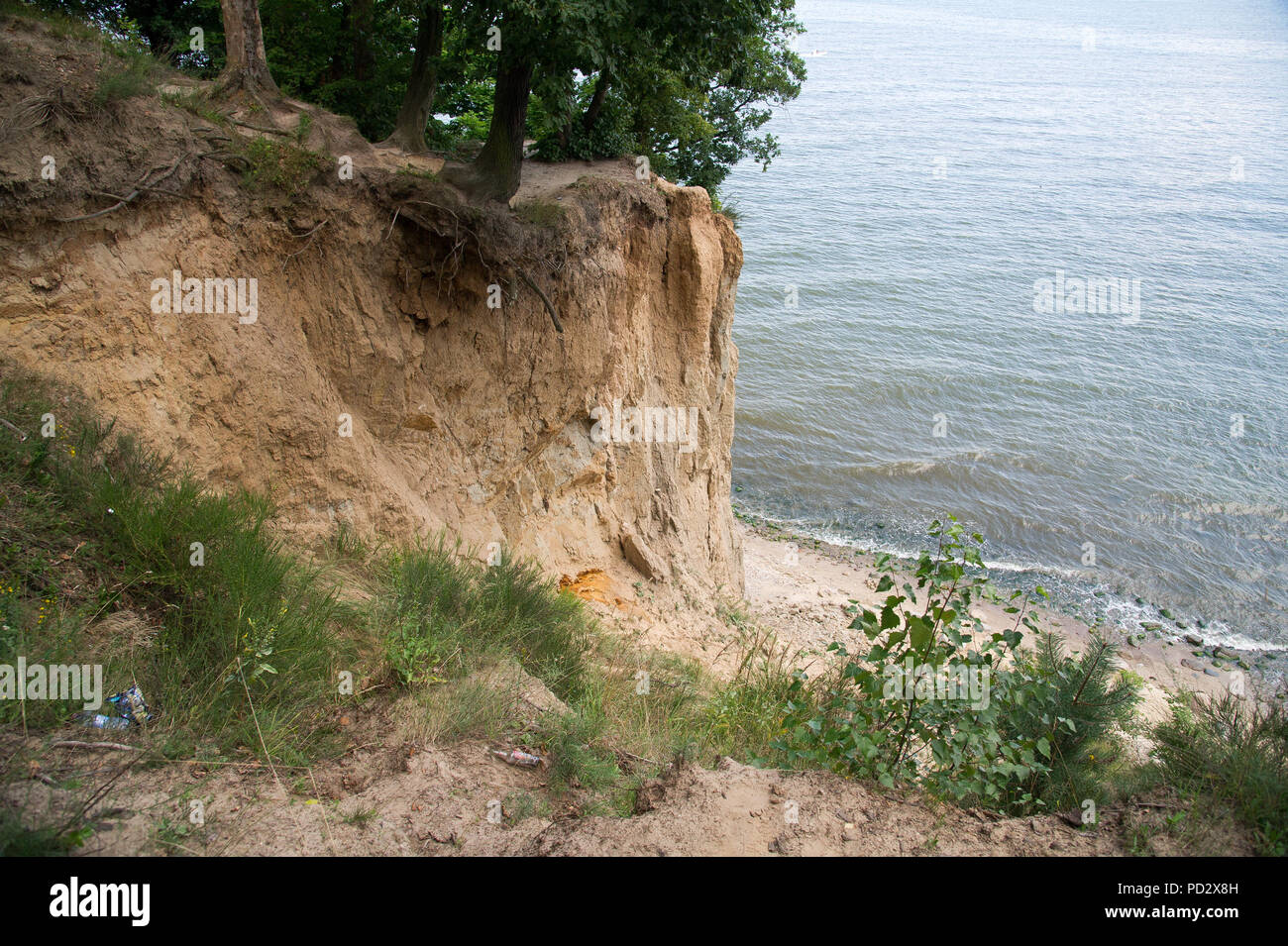 Cliff in Gdynia Orlowo, Poland. August 1st 2018 © Wojciech Strozyk ...
