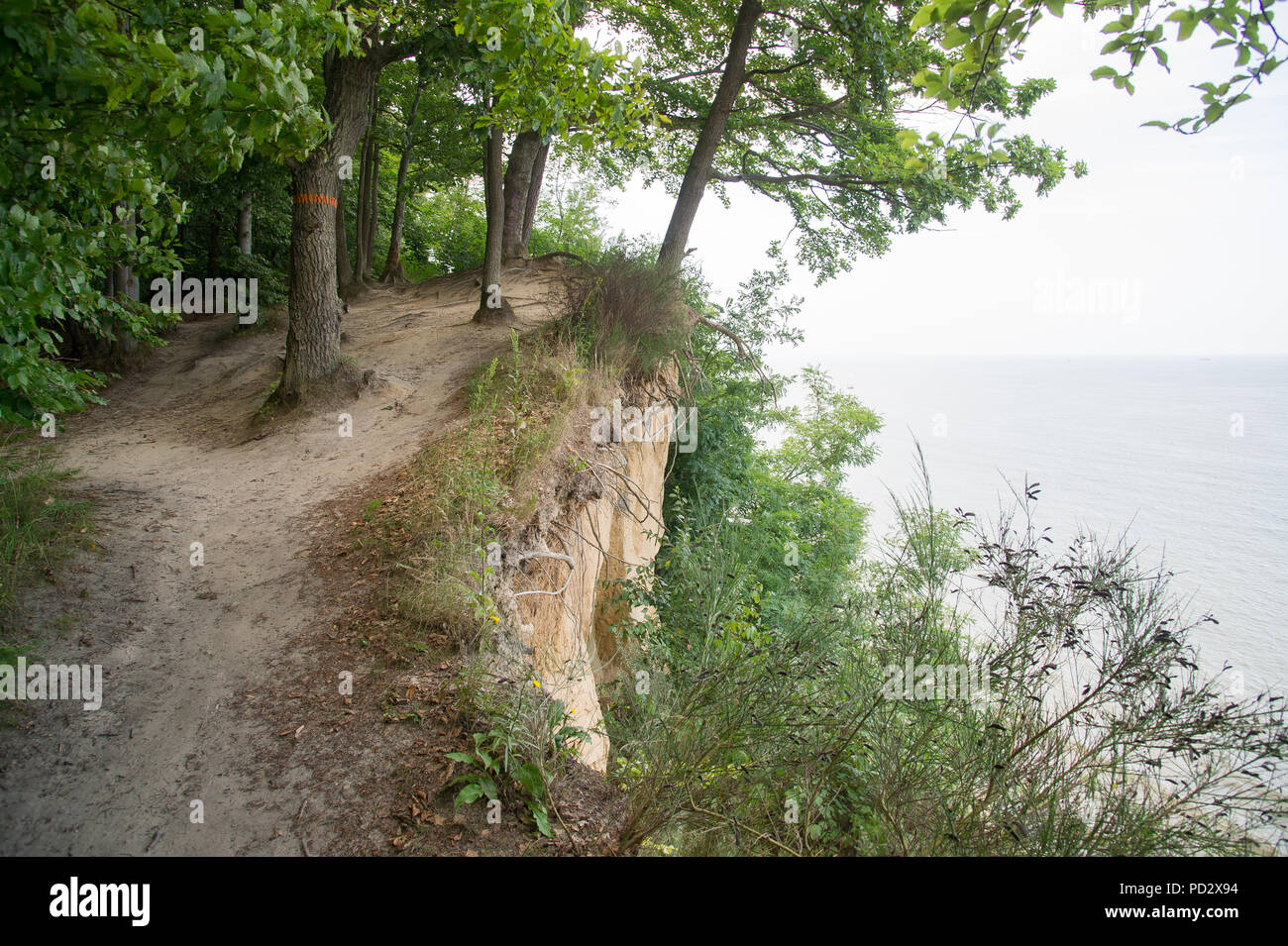 Cliff in Gdynia Orlowo, Poland. August 1st 2018 © Wojciech Strozyk ...