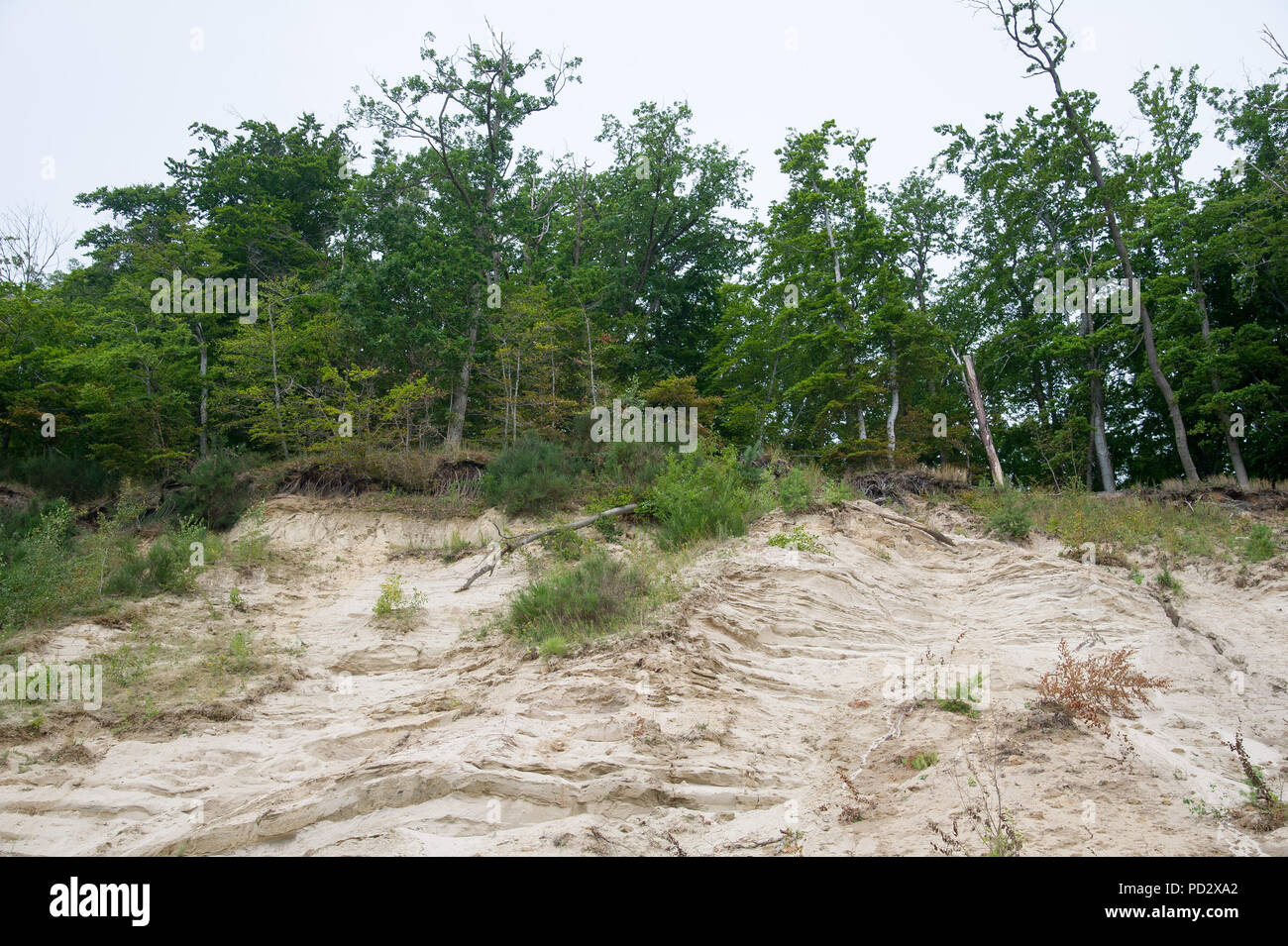 Gdynia Symbol High Resolution Stock Photography and Images - Alamy