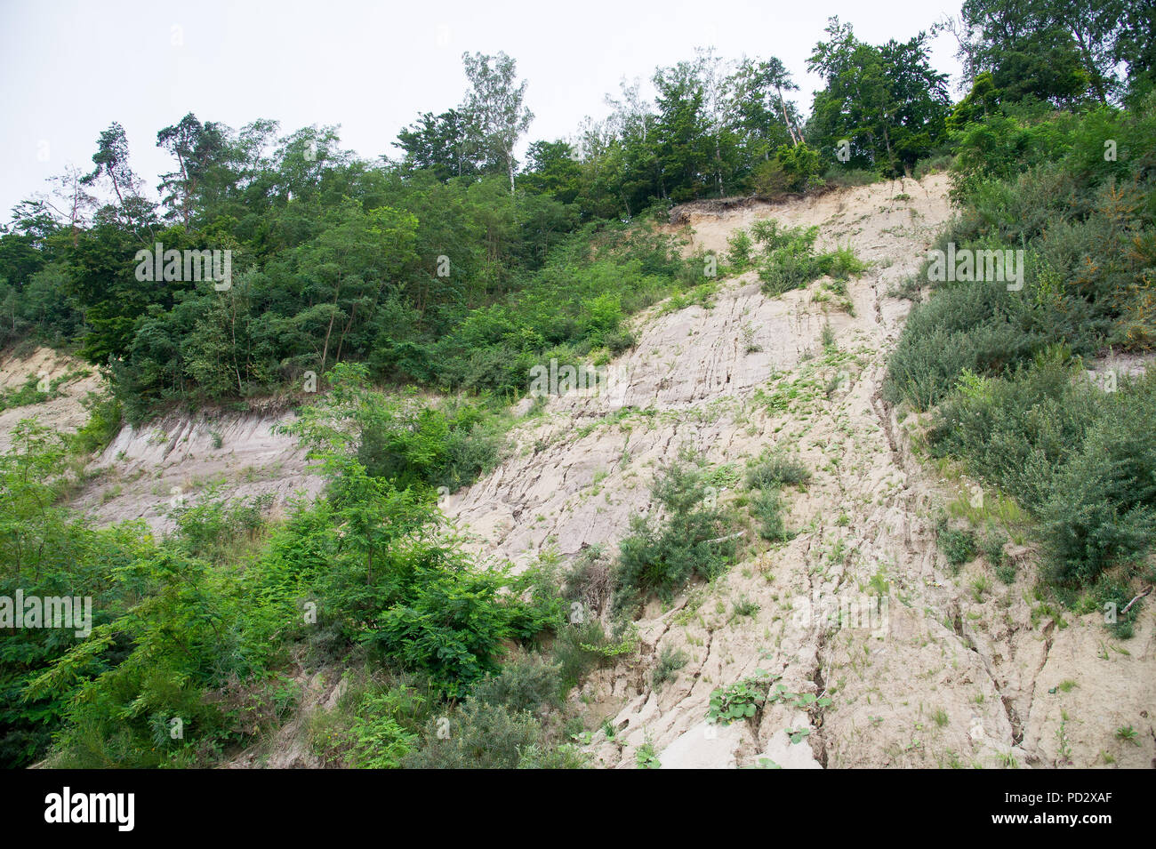 Cliff in Gdynia Orlowo, Poland. August 1st 2018 © Wojciech Strozyk ...