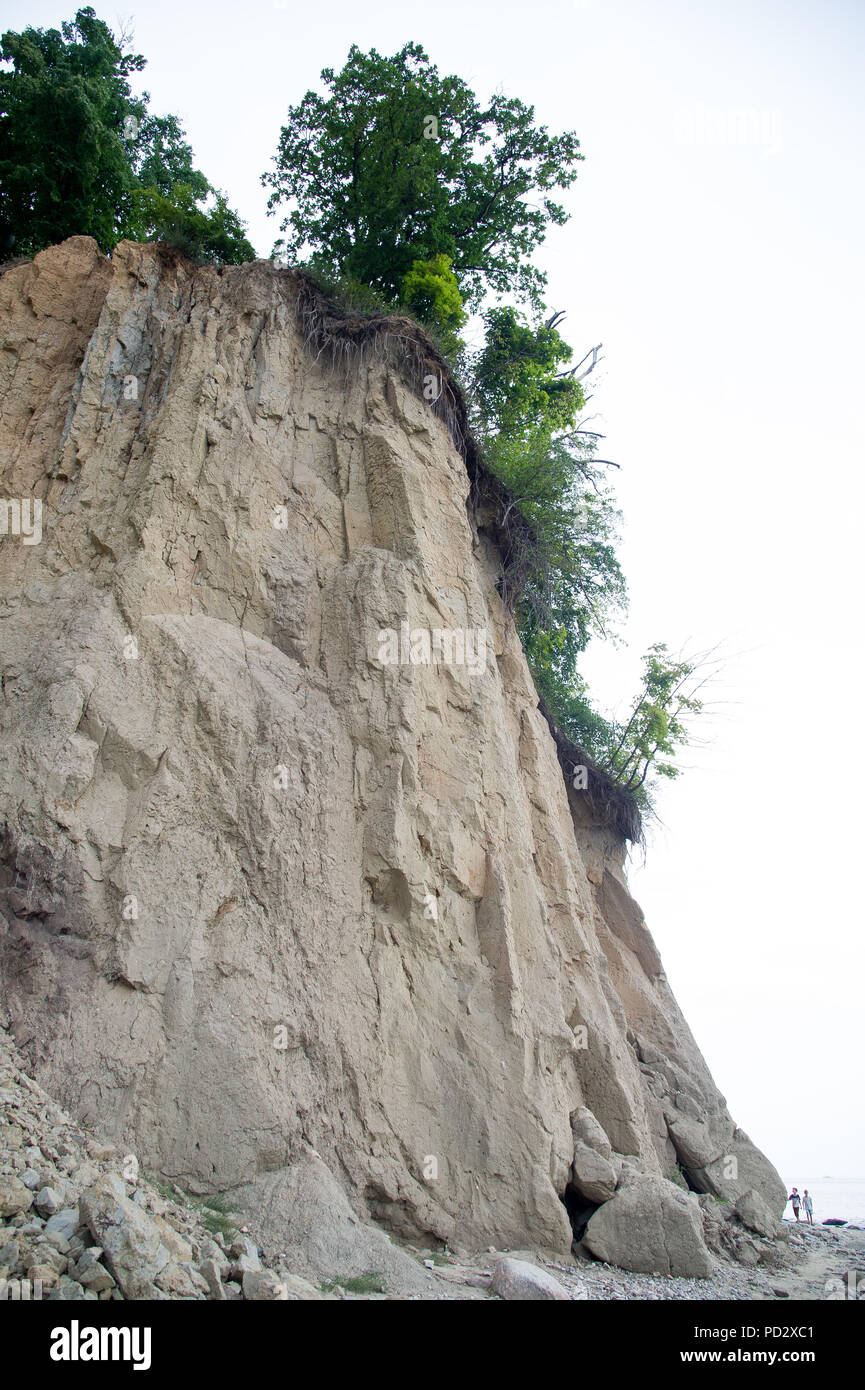 Cliff in Gdynia Orlowo, Poland. August 1st 2018 © Wojciech Strozyk ...