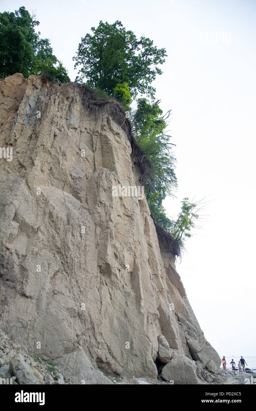 Cliff in Gdynia Orlowo, Poland. August 1st 2018 © Wojciech Strozyk ...