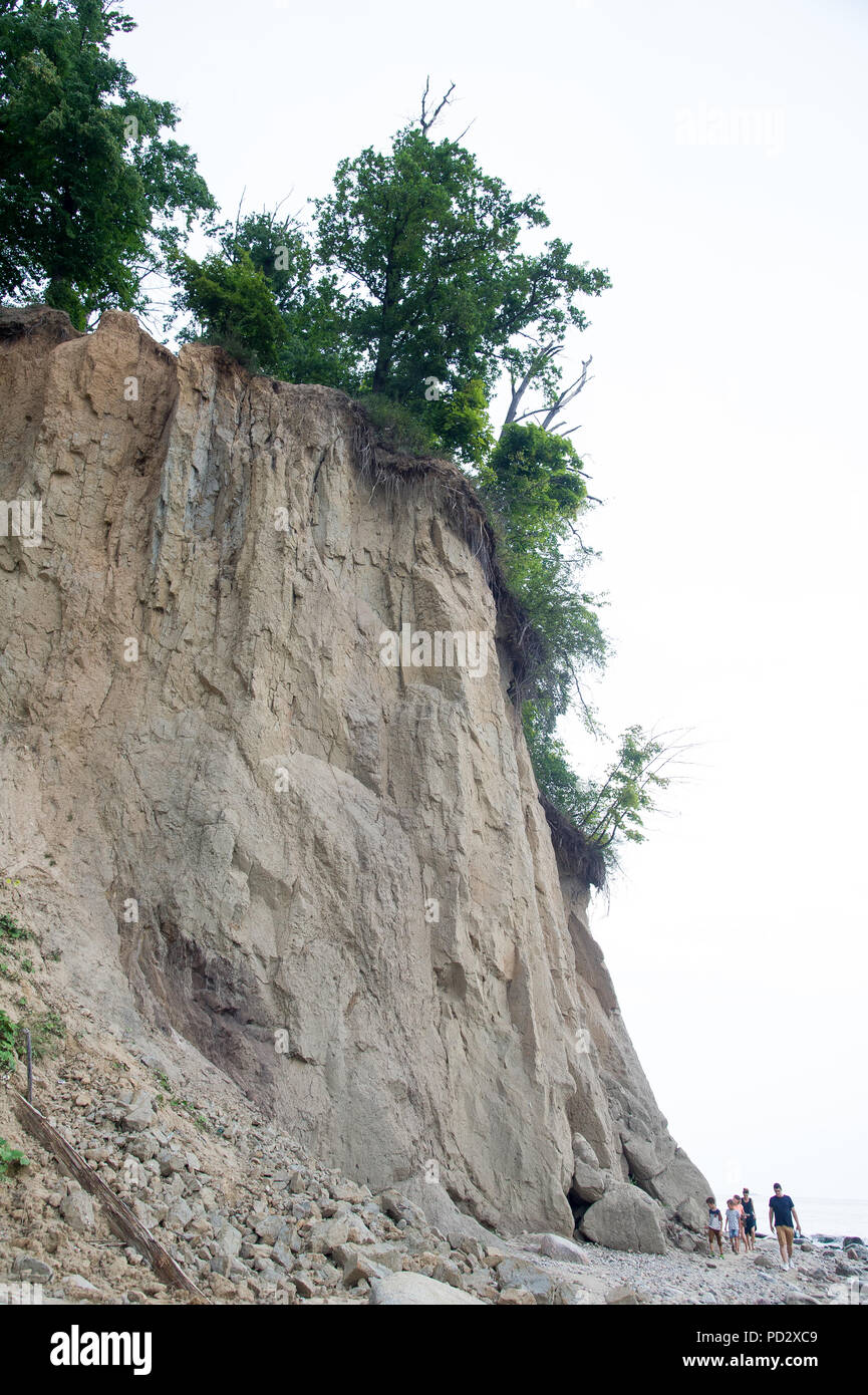 Cliff in Gdynia Orlowo, Poland. August 1st 2018 © Wojciech Strozyk ...