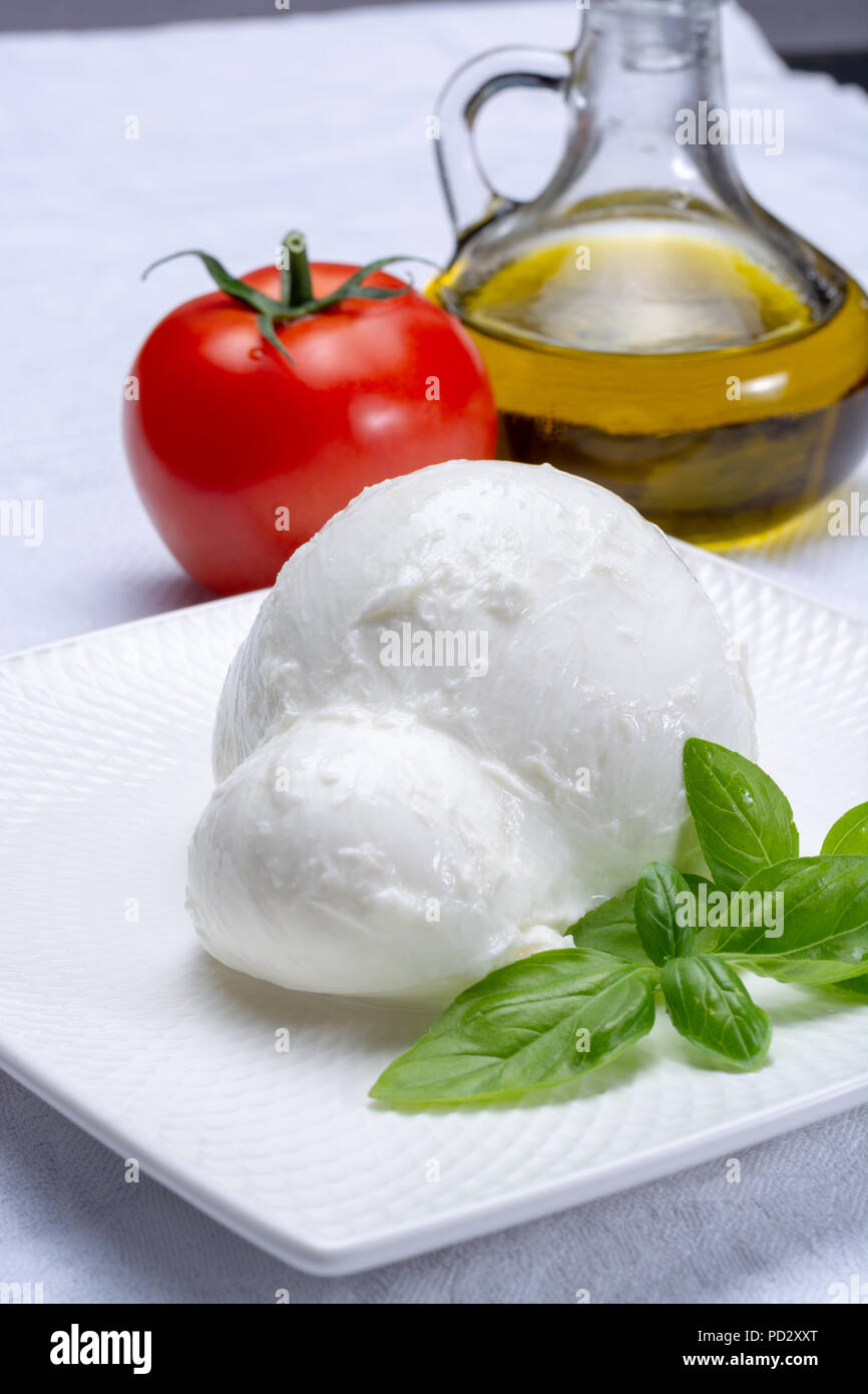 Fresh soft Italian white cheese mozzarella buffalo, original from ...