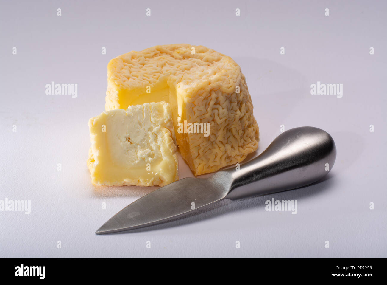 French AOC Langres soft cow crumbly cheese with washed rind structure ...