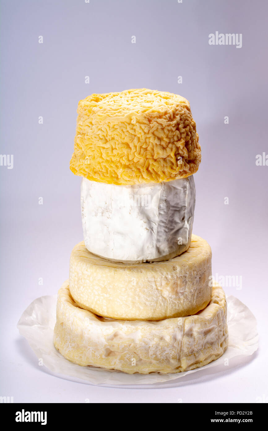 French AOC soft cow cheeses, crumbly Langres with washed rind structure ...