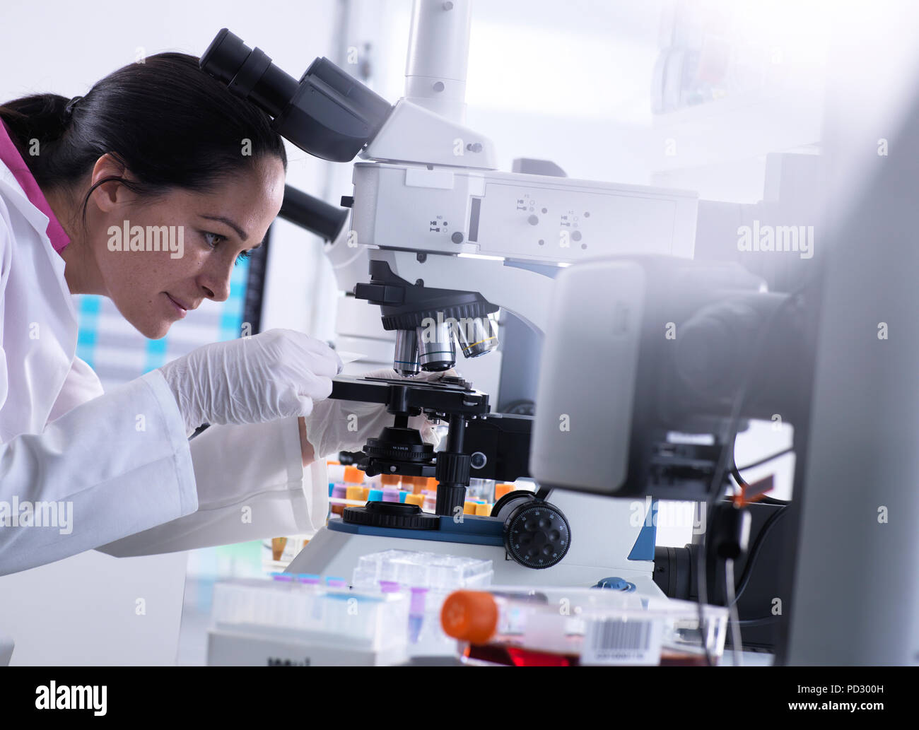 Scientist viewing human sample on glass slide under microscope Stock ...