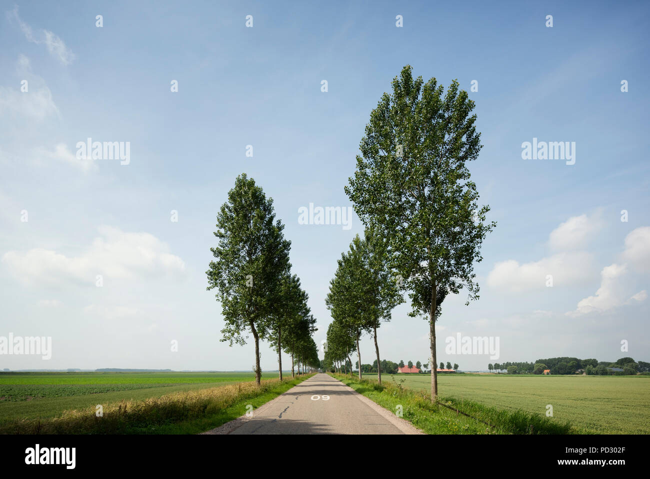 Lined exterior hi-res stock photography and images - Alamy