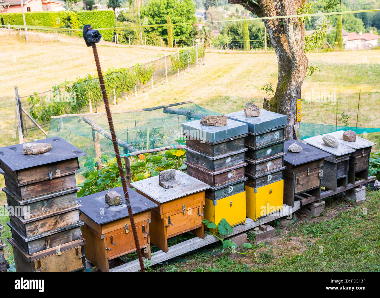 Hive bee italy hi-res stock photography and images - Alamy