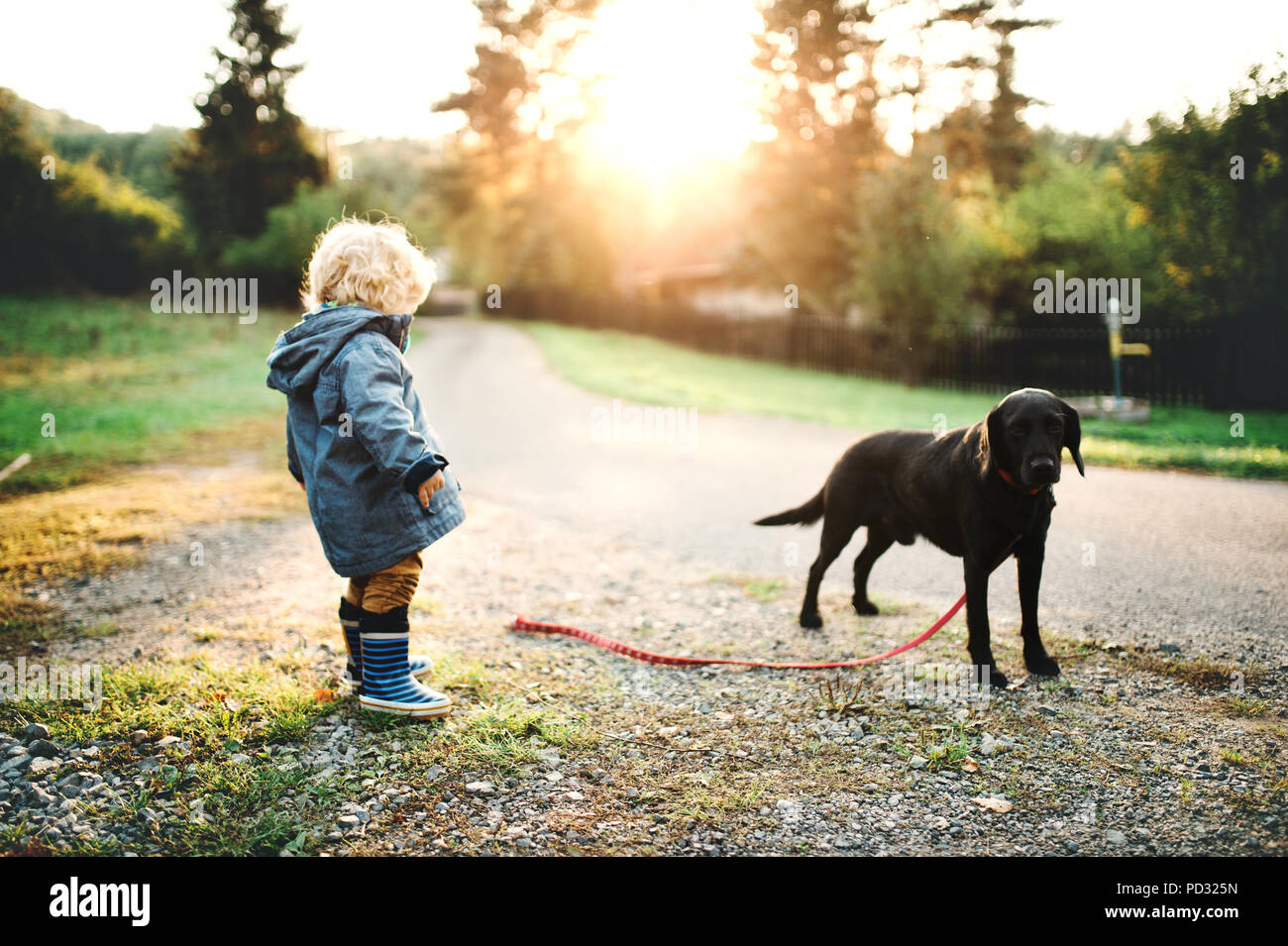 Toddler and pet outside hi-res stock photography and images - Alamy