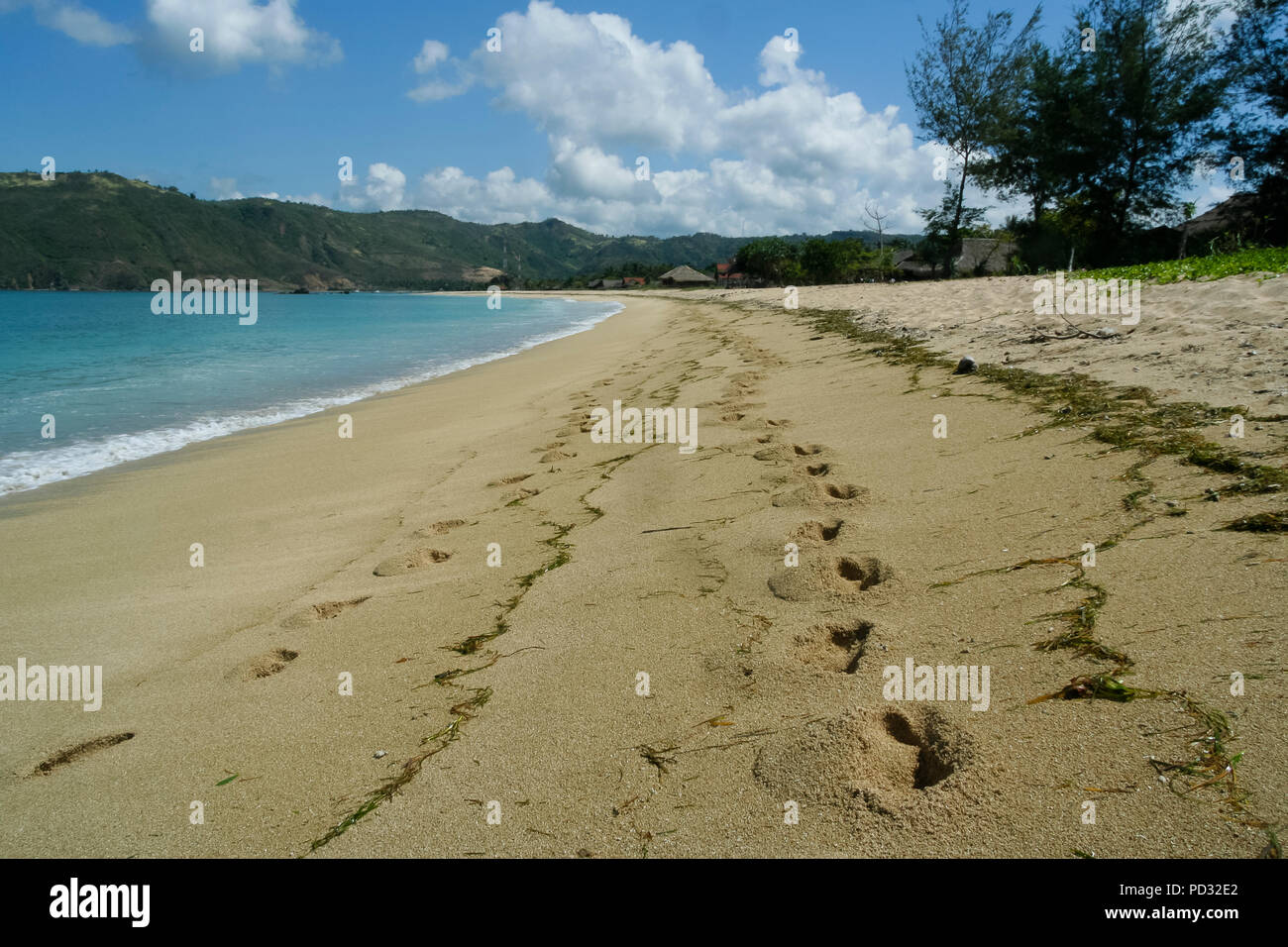 Lombok, Indonesia. Footprints in the sand on the beach on the island of ...