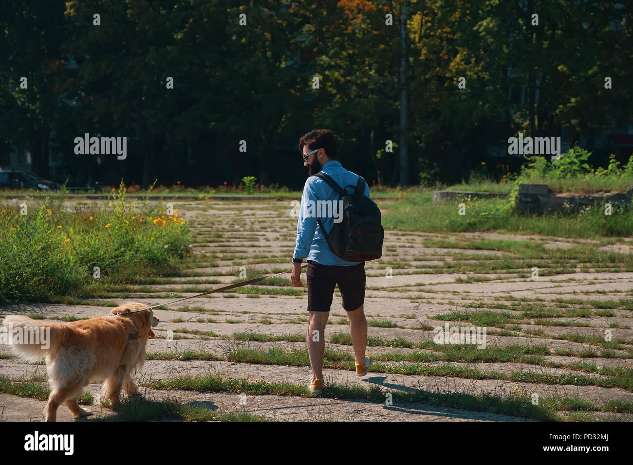 Back view of man and doggy hi-res stock photography and images - Alamy