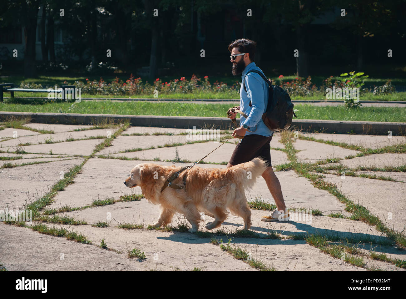 Man walking his dog in the park Stock Photo - Alamy
