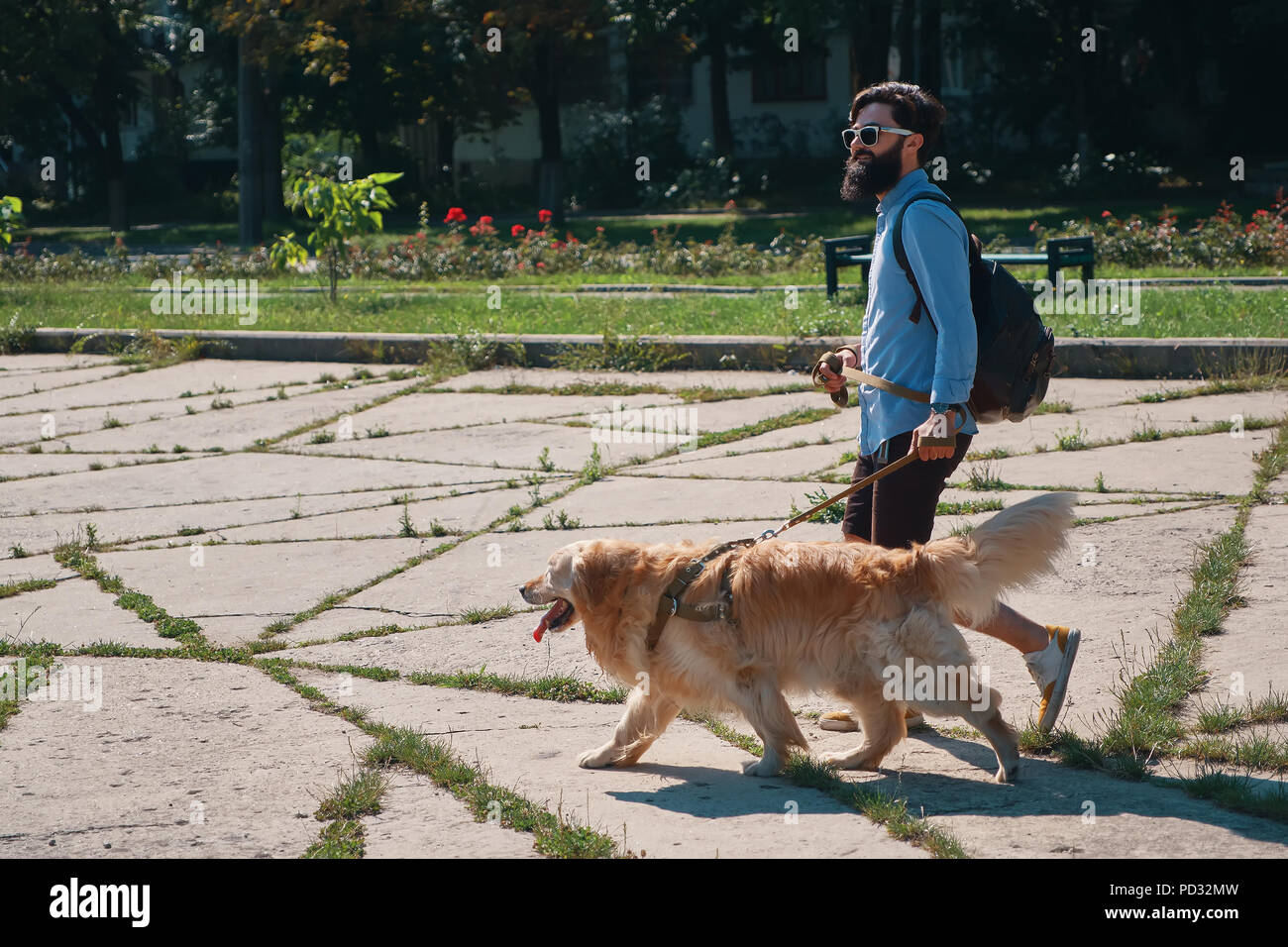 Man walking his dog in the park Stock Photo - Alamy