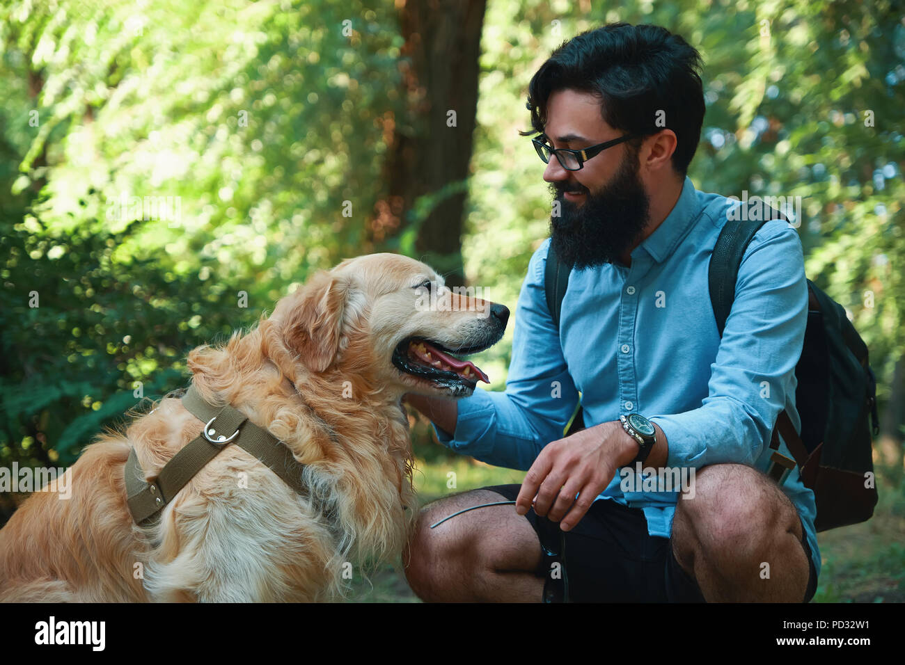 Male golden retriver hi-res stock photography and images - Alamy