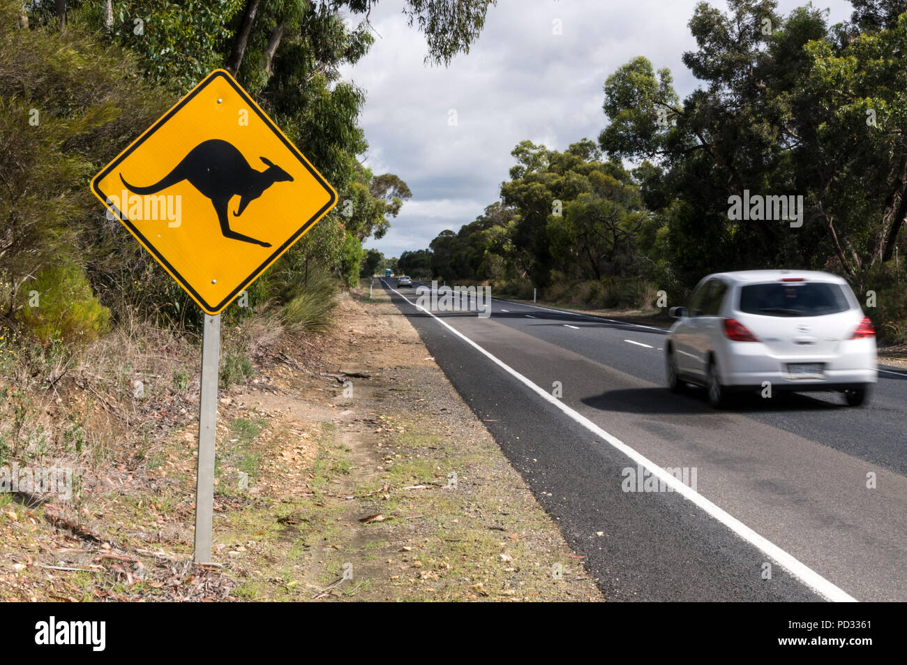Kangaroo road sign hi-res stock photography and images - Alamy