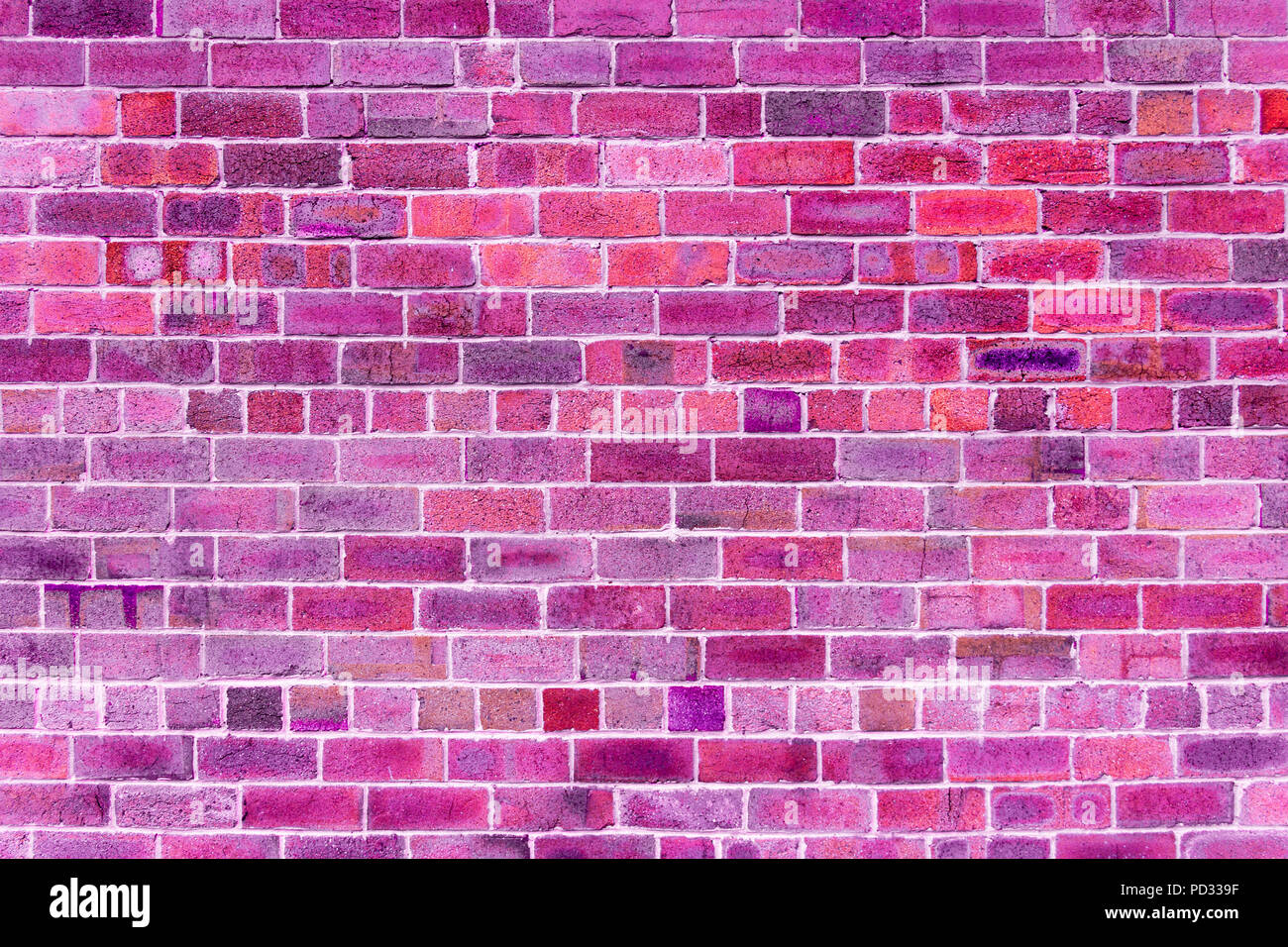 Close-up of brick wall with purple, pink, fuchsia, ultra violet, black ...