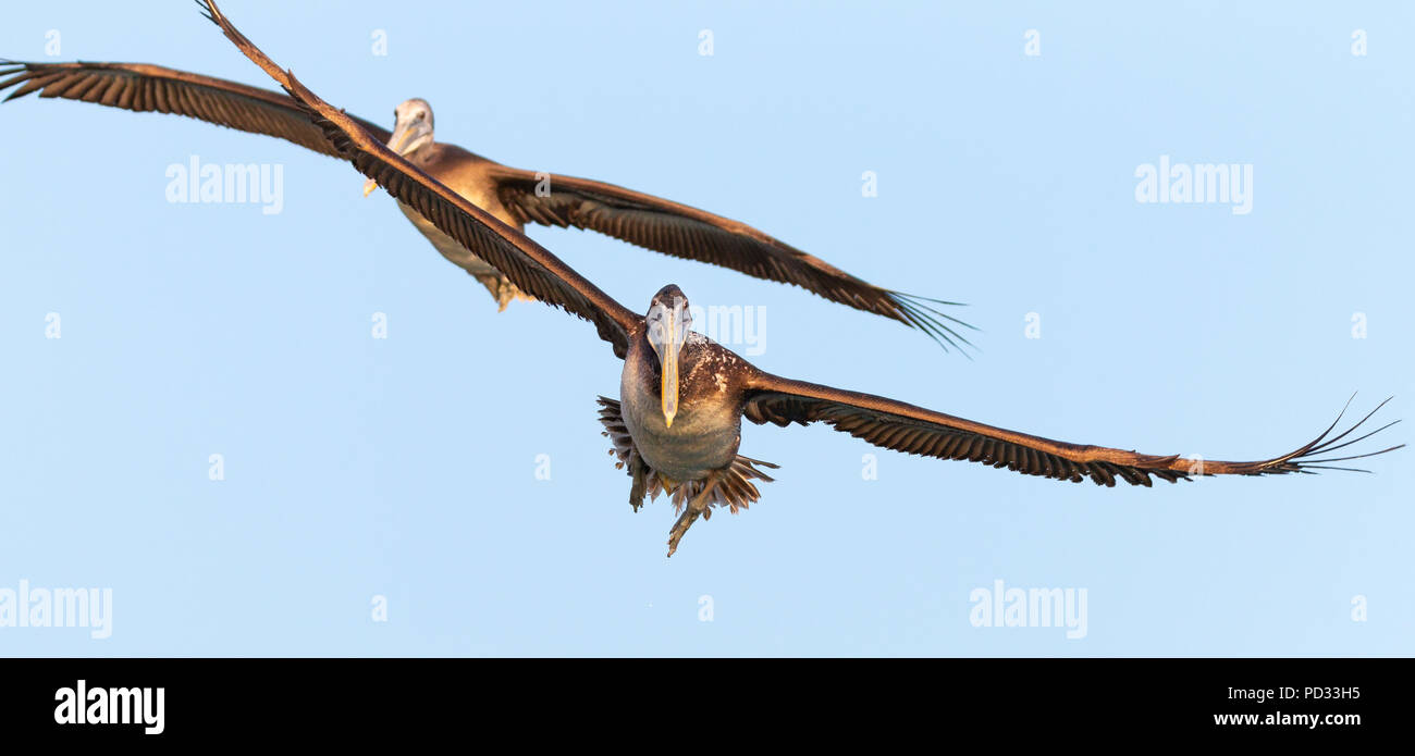 Flying toward hi-res stock photography and images - Alamy