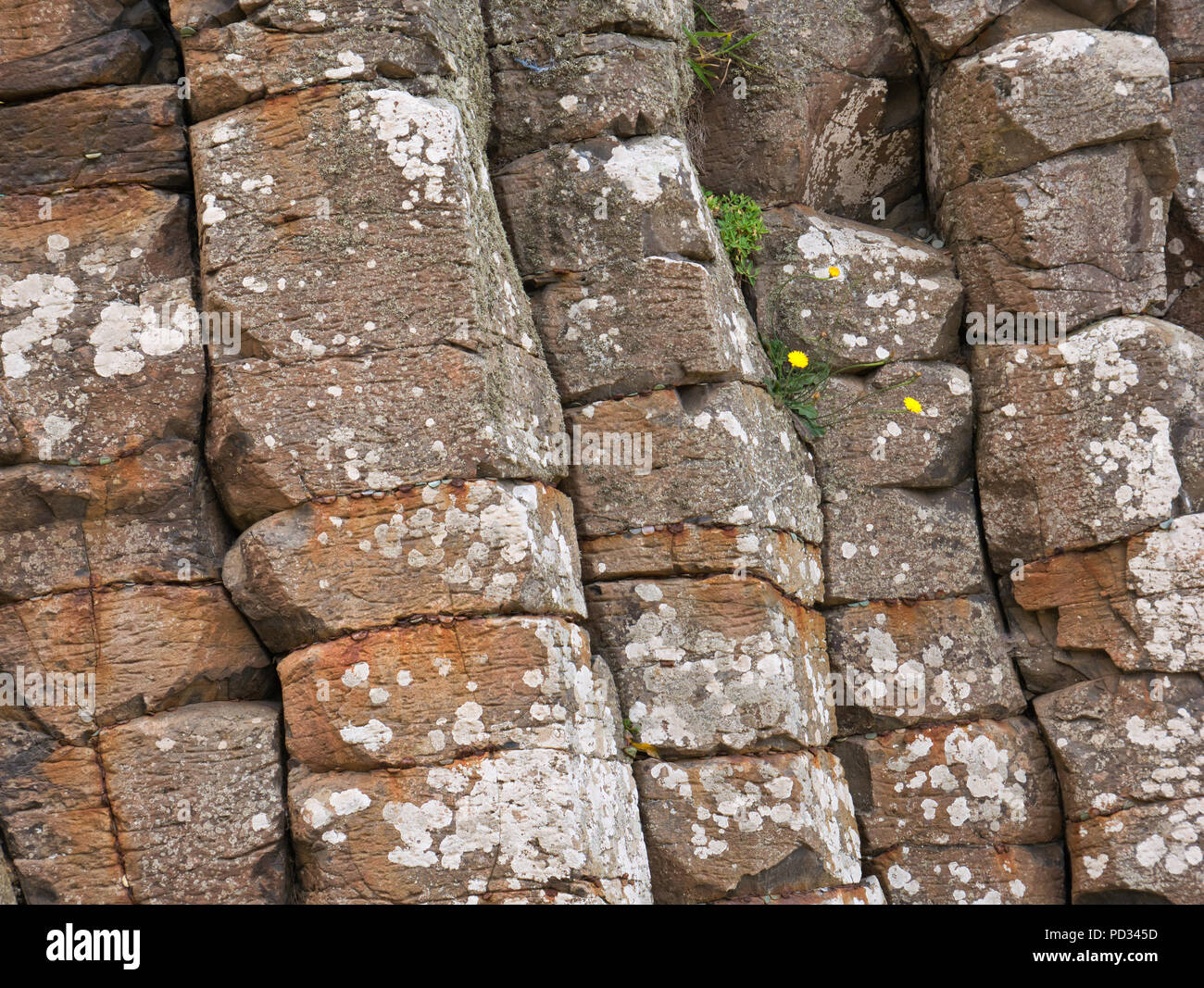 Basalt block hi-res stock photography and images - Alamy