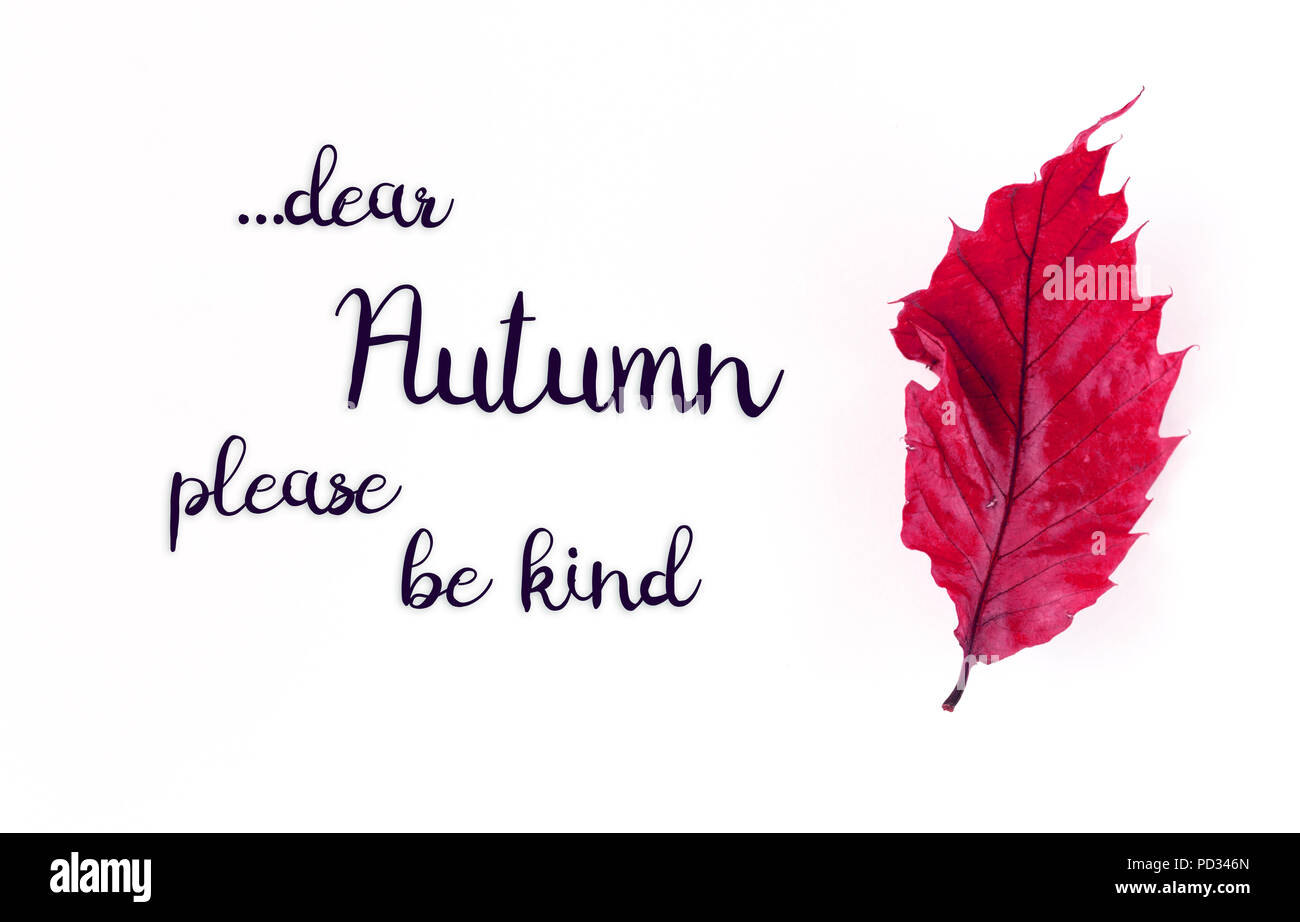 Valian poppy hi-res stock photography and images - Alamy