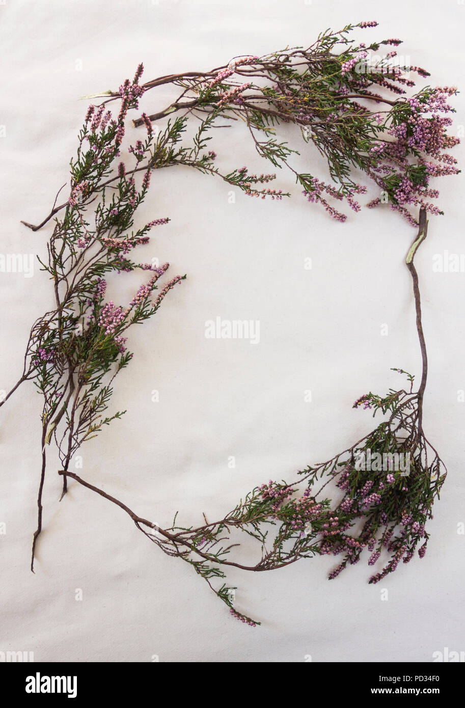 Purple autumn heather (erica) frame on ecru piece raw cotton fabric ...