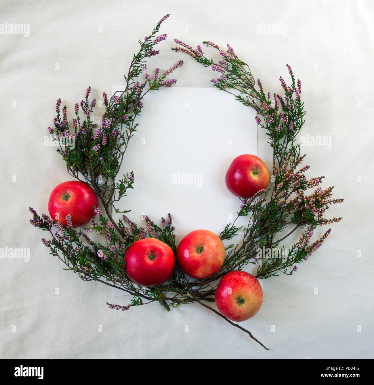 Purple autumn heather (erica) wreath garland with red apples on white ...