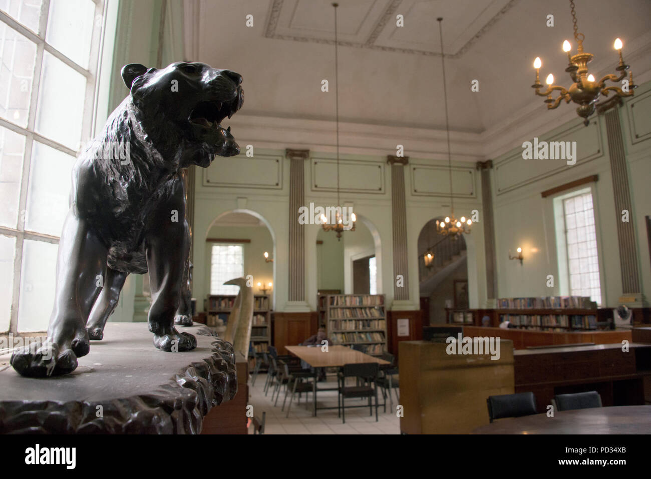 Mcmillan library hi-res stock photography and images - Alamy