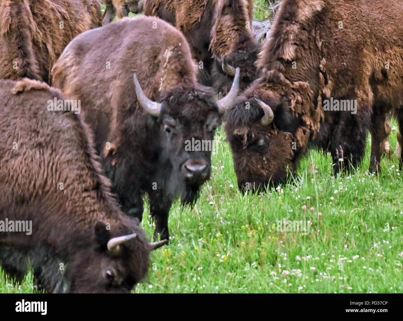 Visitor areas hi-res stock photography and images - Alamy