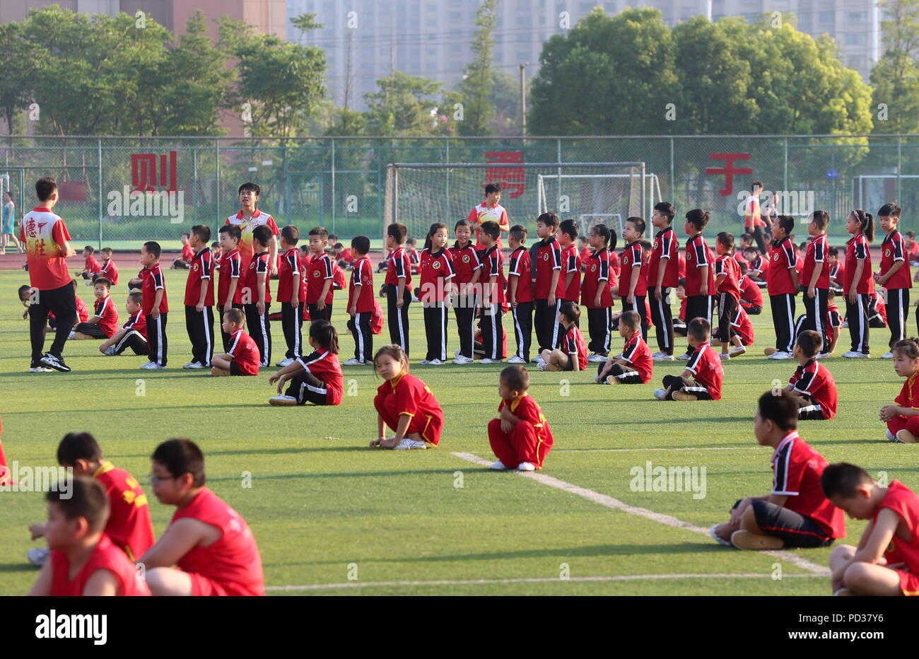Nanton, Nanton, China. 6th Aug, 2018. Nantong, CHINA-More than 700 ...