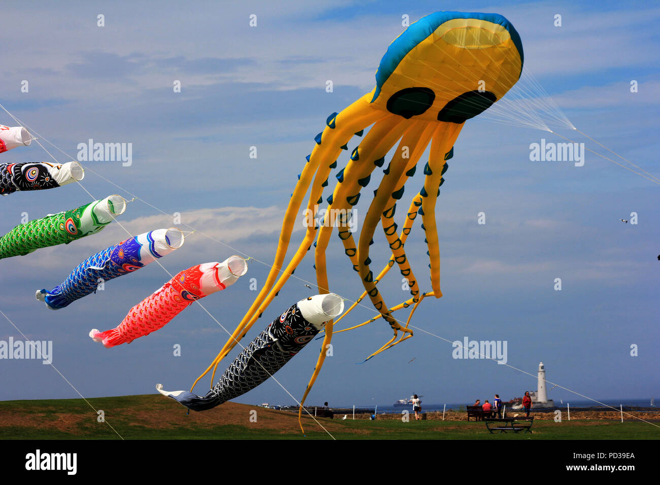 Finding nemo alamy hi-res stock photography and images - Alamy