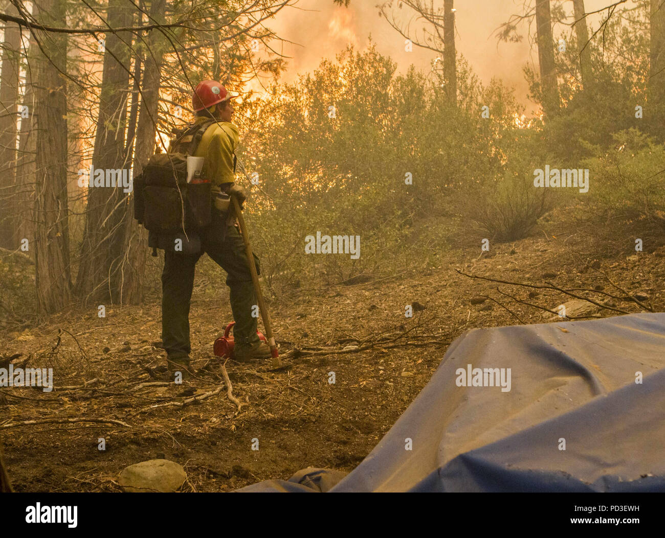 Dardnelle, California, USA. 6th Aug, 2018. A U.S. Forest Service ...