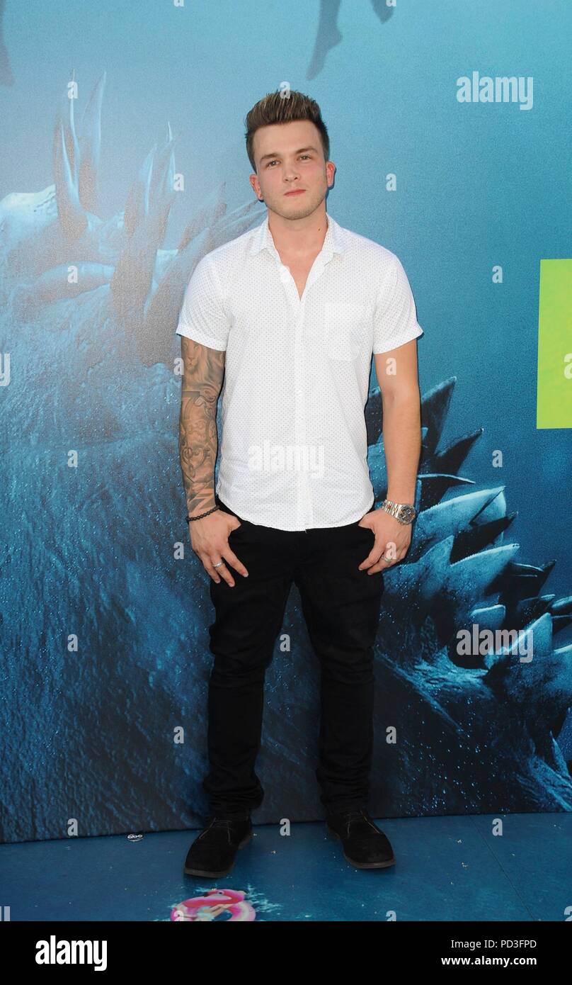 Los Angeles, CA, USA. 6th Aug, 2018. Josh Devine at arrivals for THE ...