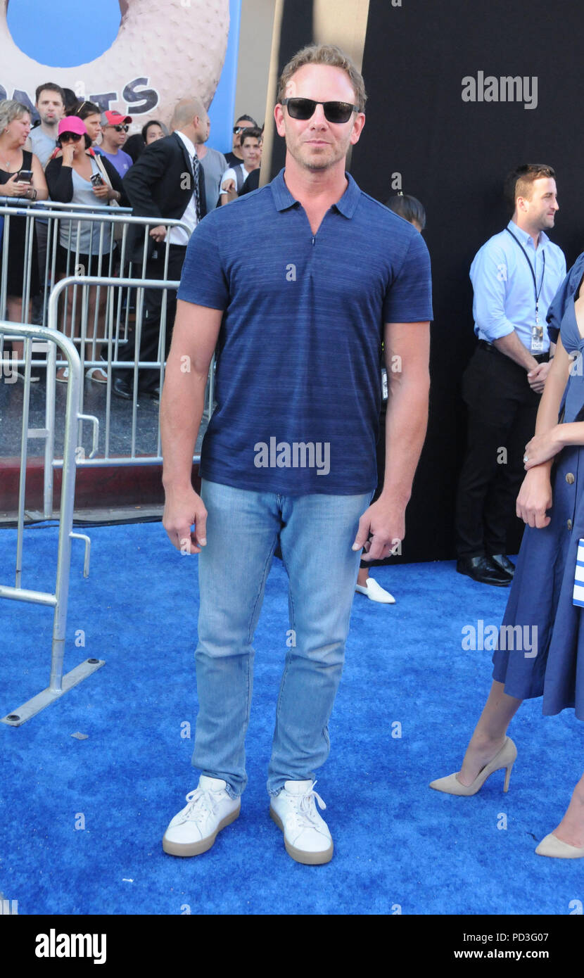 HOLLYWOOD, CA - AUGUST 6: Actor Ian Ziering attends the Warner Bros ...