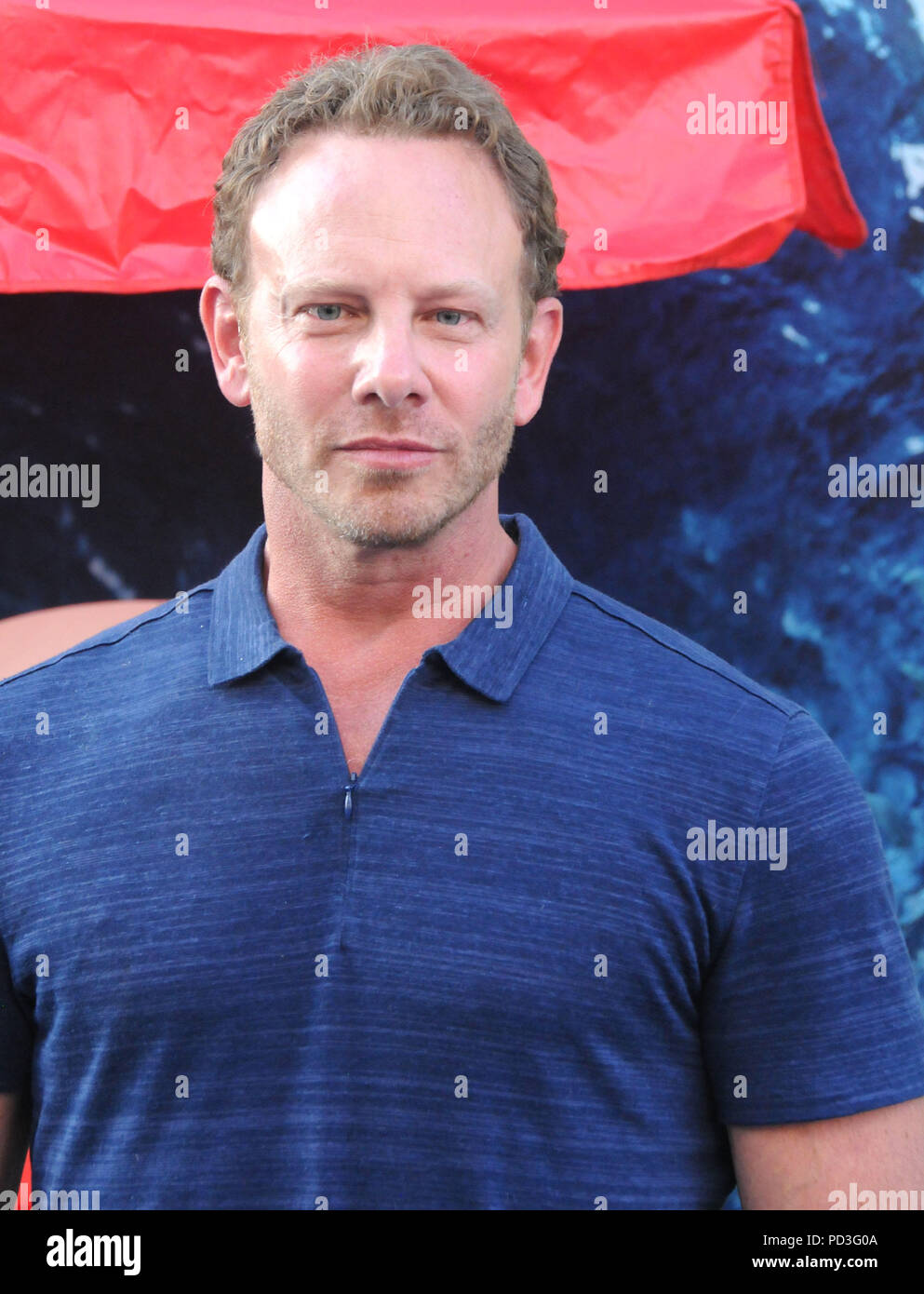 HOLLYWOOD, CA - AUGUST 6: Actor Ian Ziering attends the Warner Bros ...