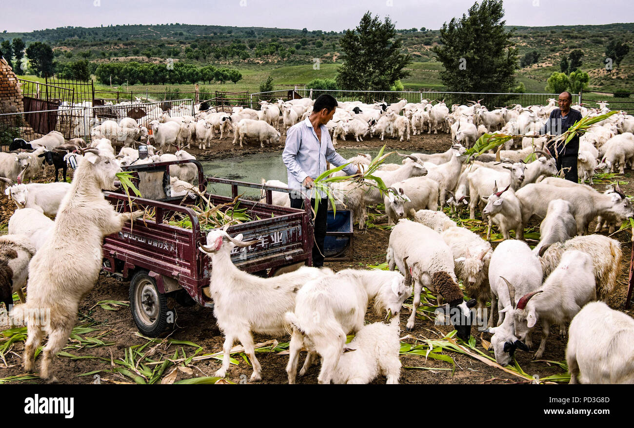 Planted pens hi-res stock photography and images - Alamy