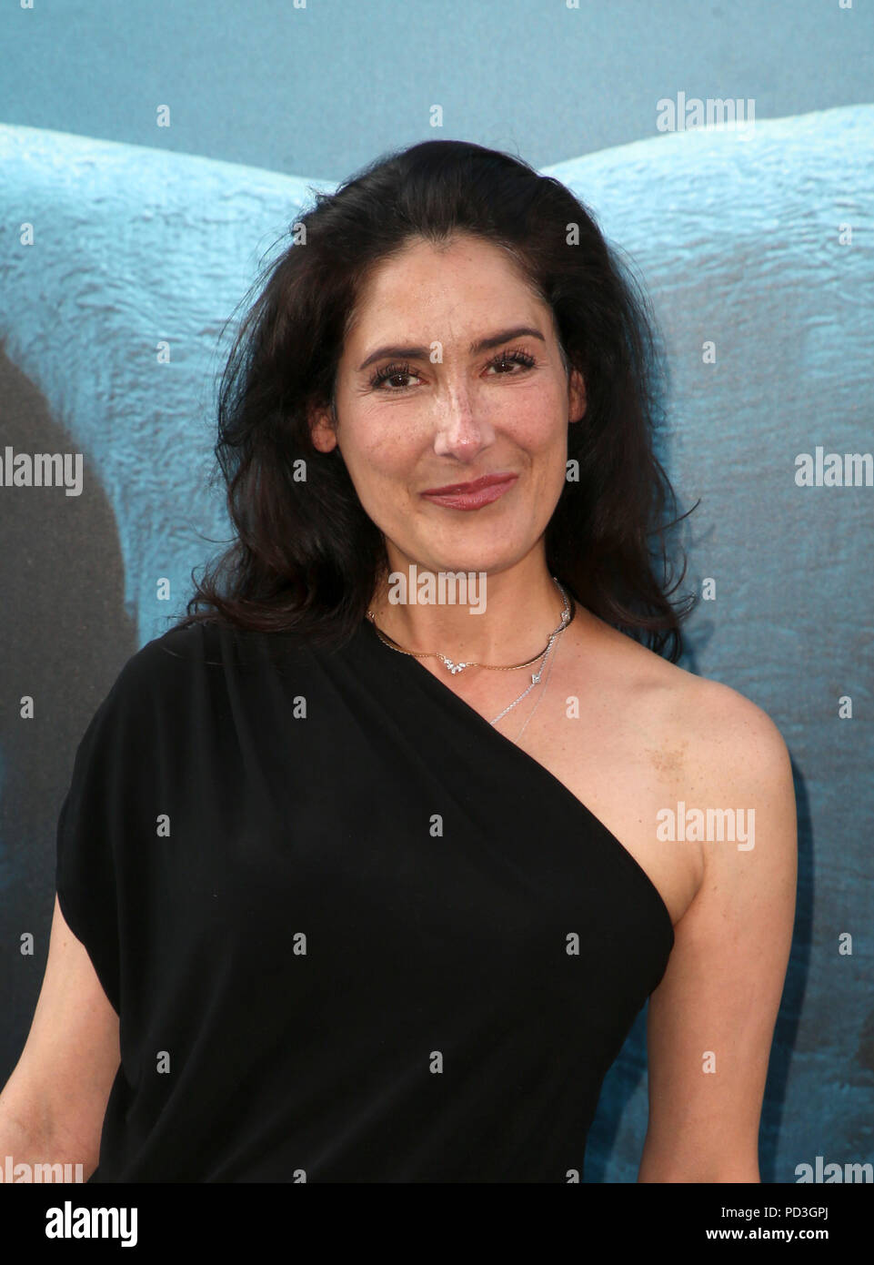 Hollywood, Ca. 6th Aug, 2018. Alicia Coppola, at Warner Bros. Pictures ...
