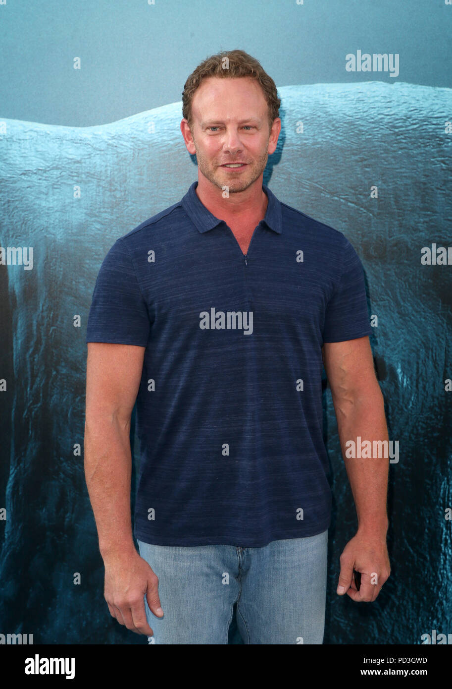 Hollywood, Ca. 6th Aug, 2018. Ian Ziering, at Warner Bros. Pictures And ...